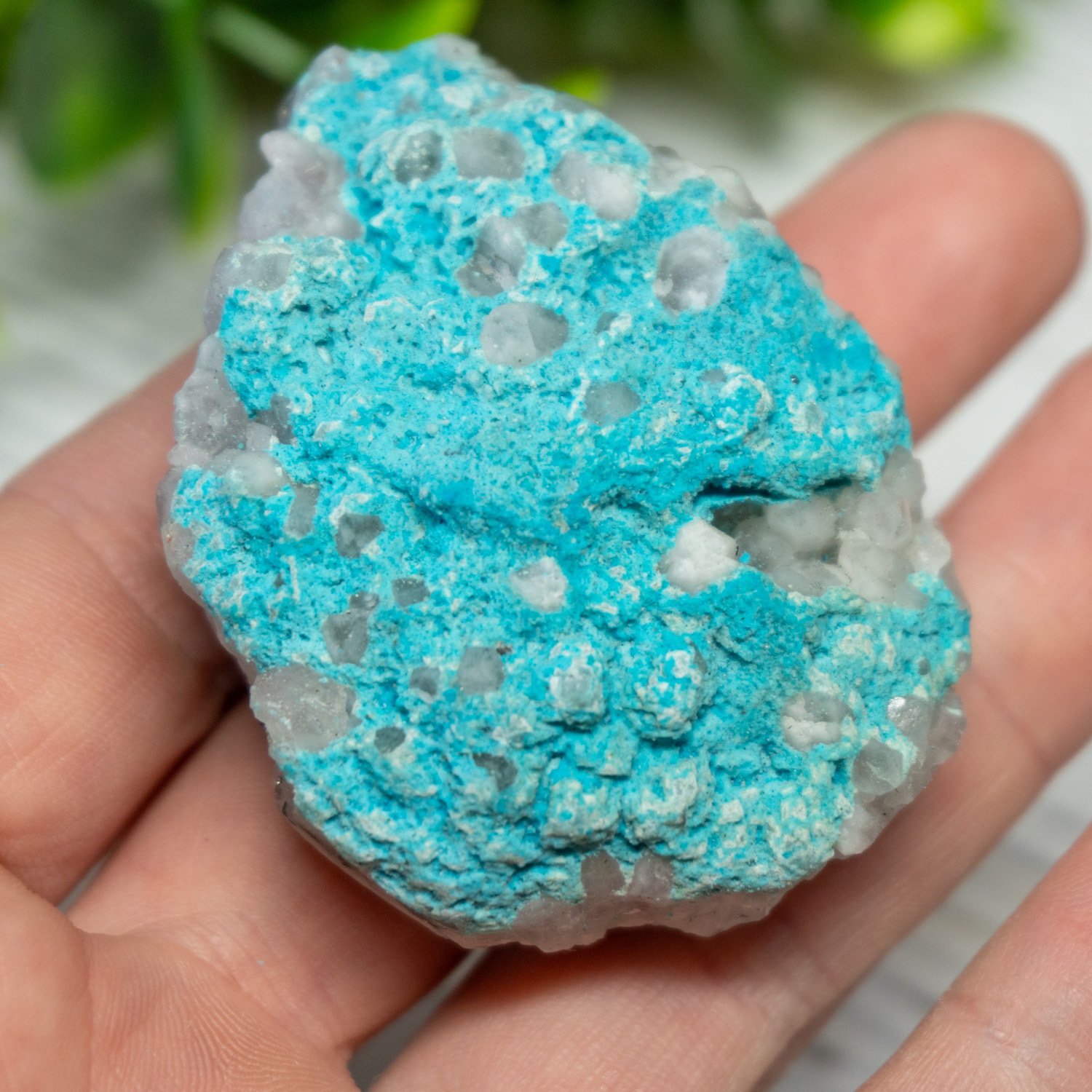 Small Turquoise on Quartz #3 - The Crystal Council