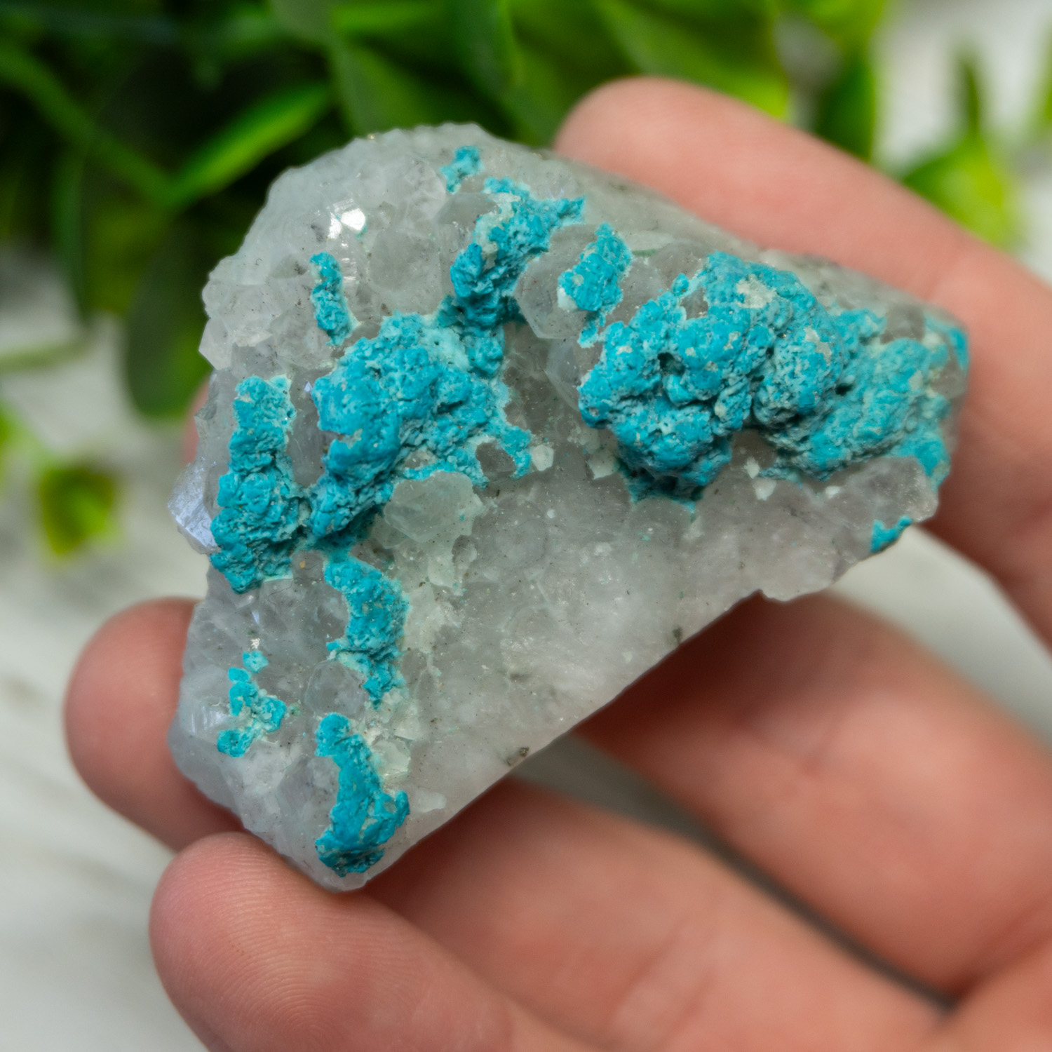 Small Turquoise on Quartz 1 The Crystal Council