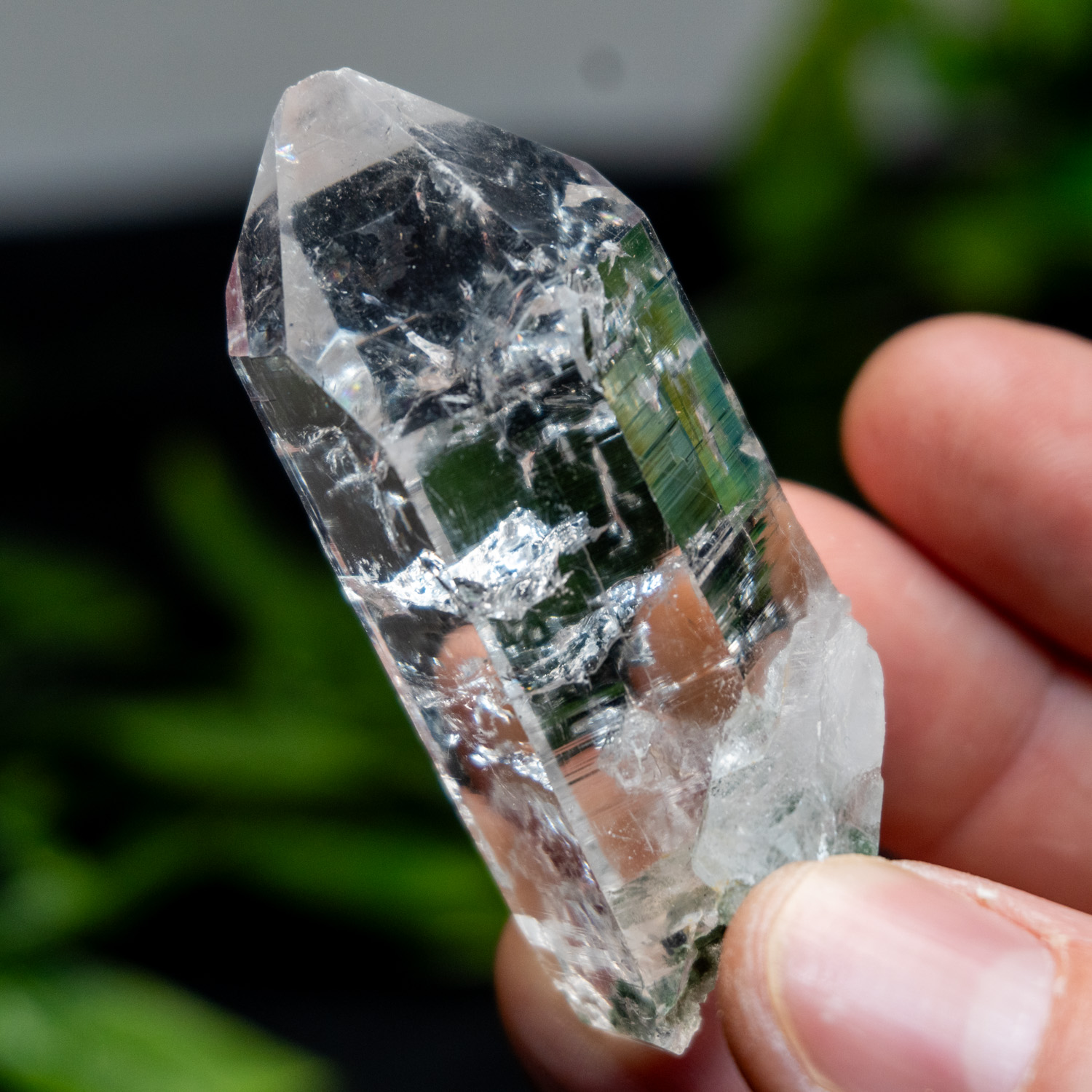 Himalayan Quartz Medium #13 - The Crystal Council