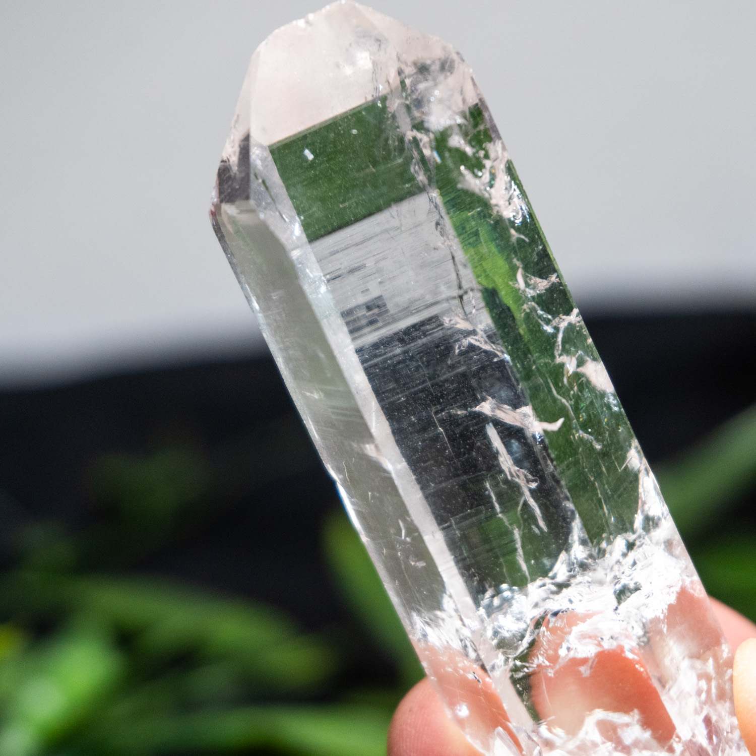 Himalayan Quartz Medium #7 - The Crystal Council