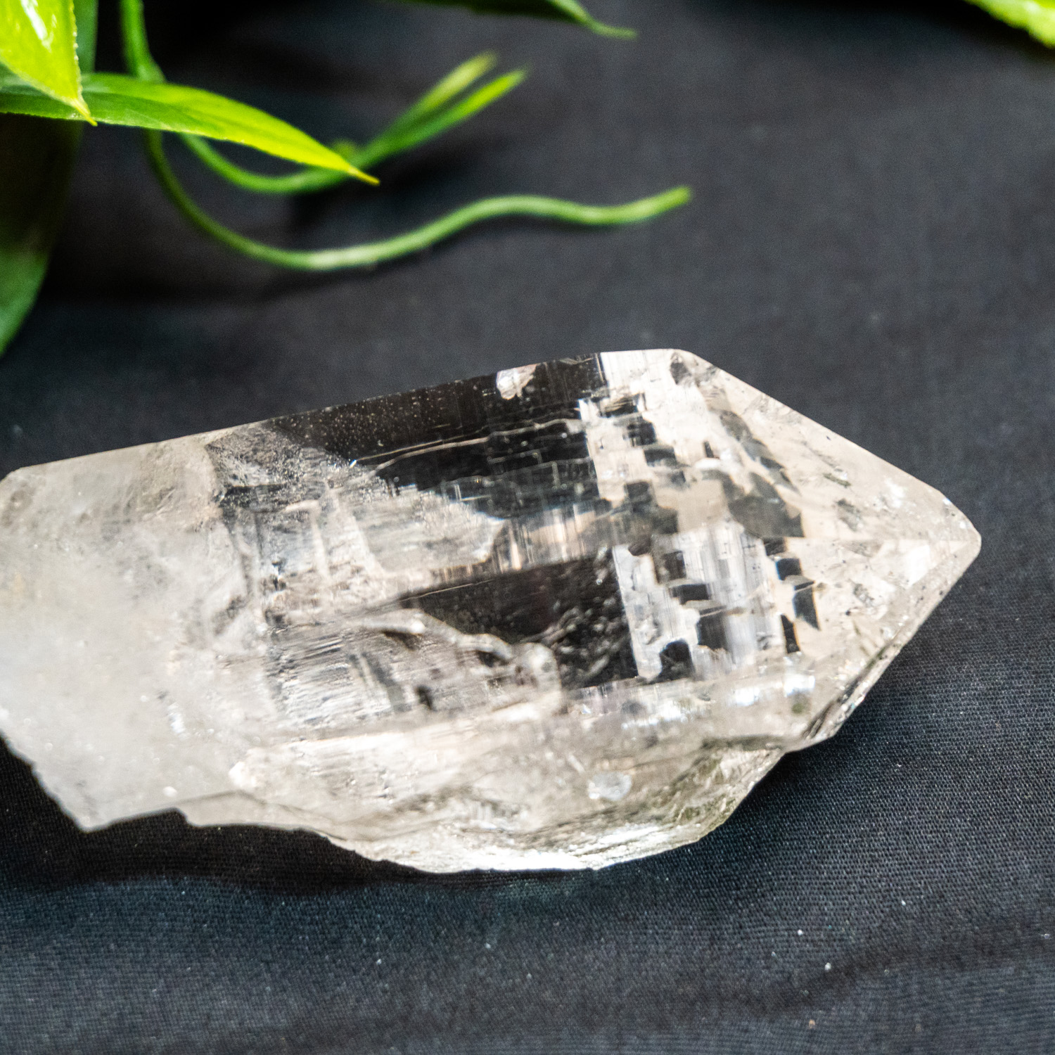 Himalayan Quartz Medium #9 - The Crystal Council