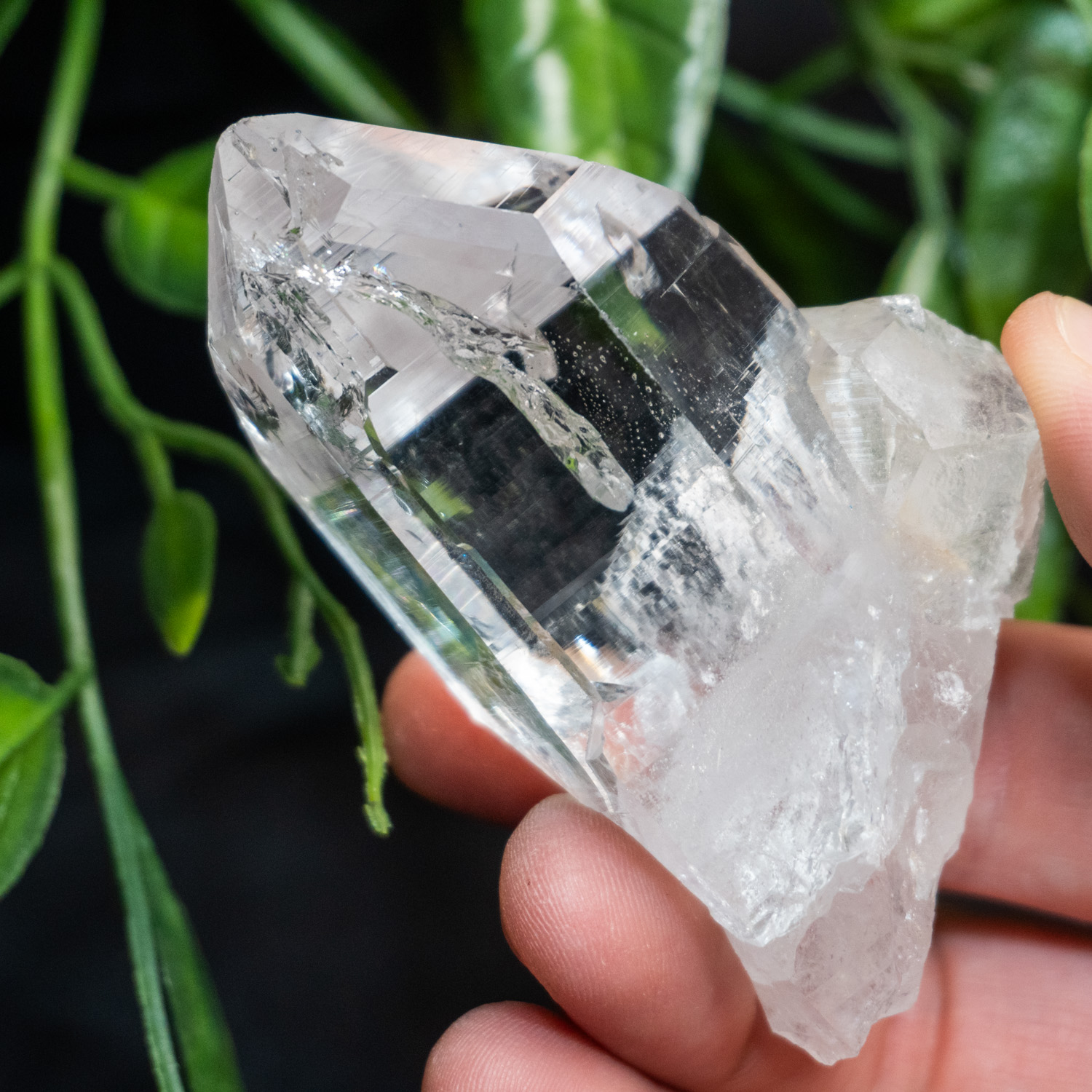 Himalayan Quartz Medium #4 - The Crystal Council