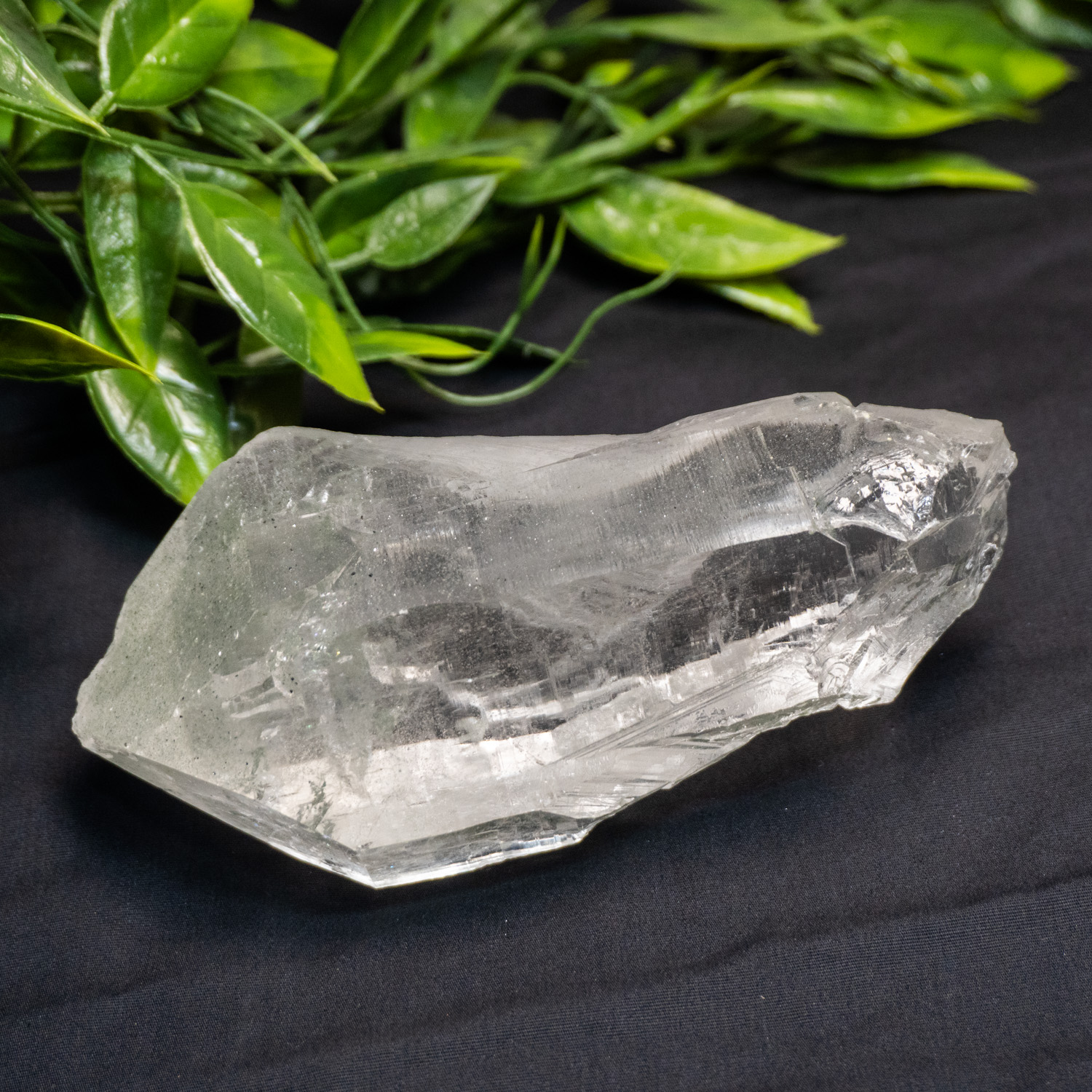 Himalayan Quartz Large #12 - The Crystal Council