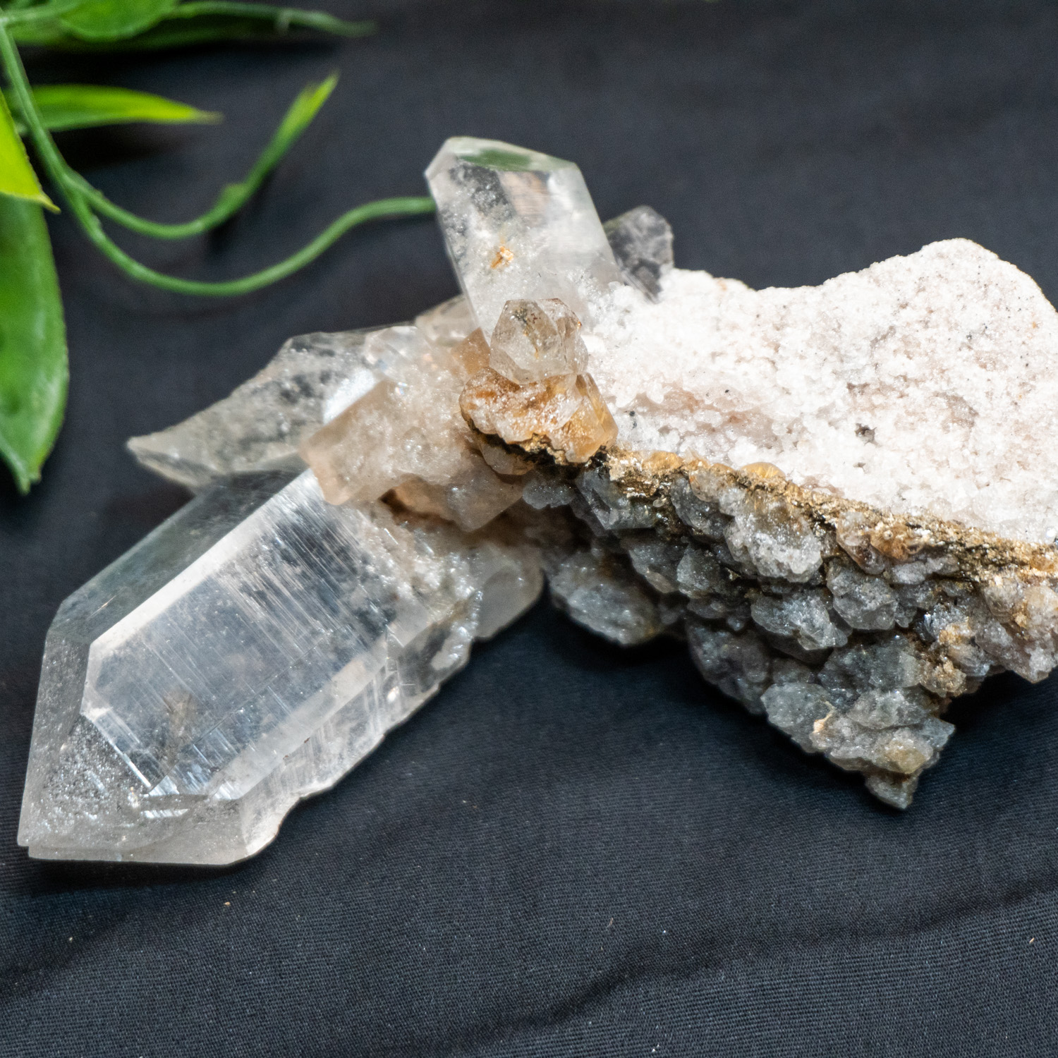 Himalayan Quartz Large #11 - The Crystal Council