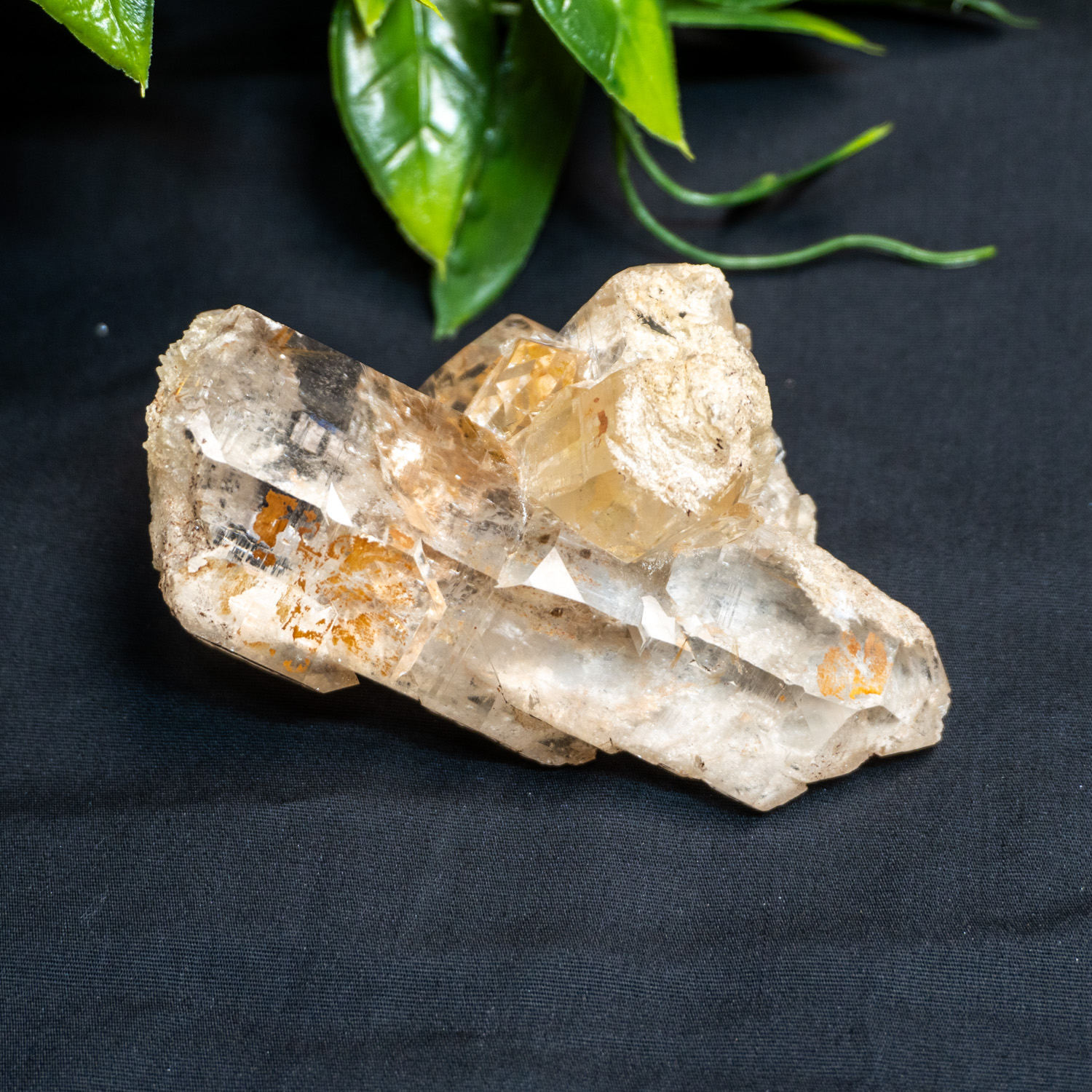 Himalayan Quartz Large #7 - The Crystal Council