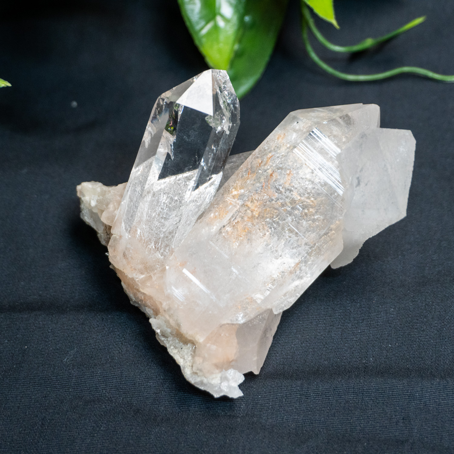 Himalayan Quartz Large #8 - The Crystal Council