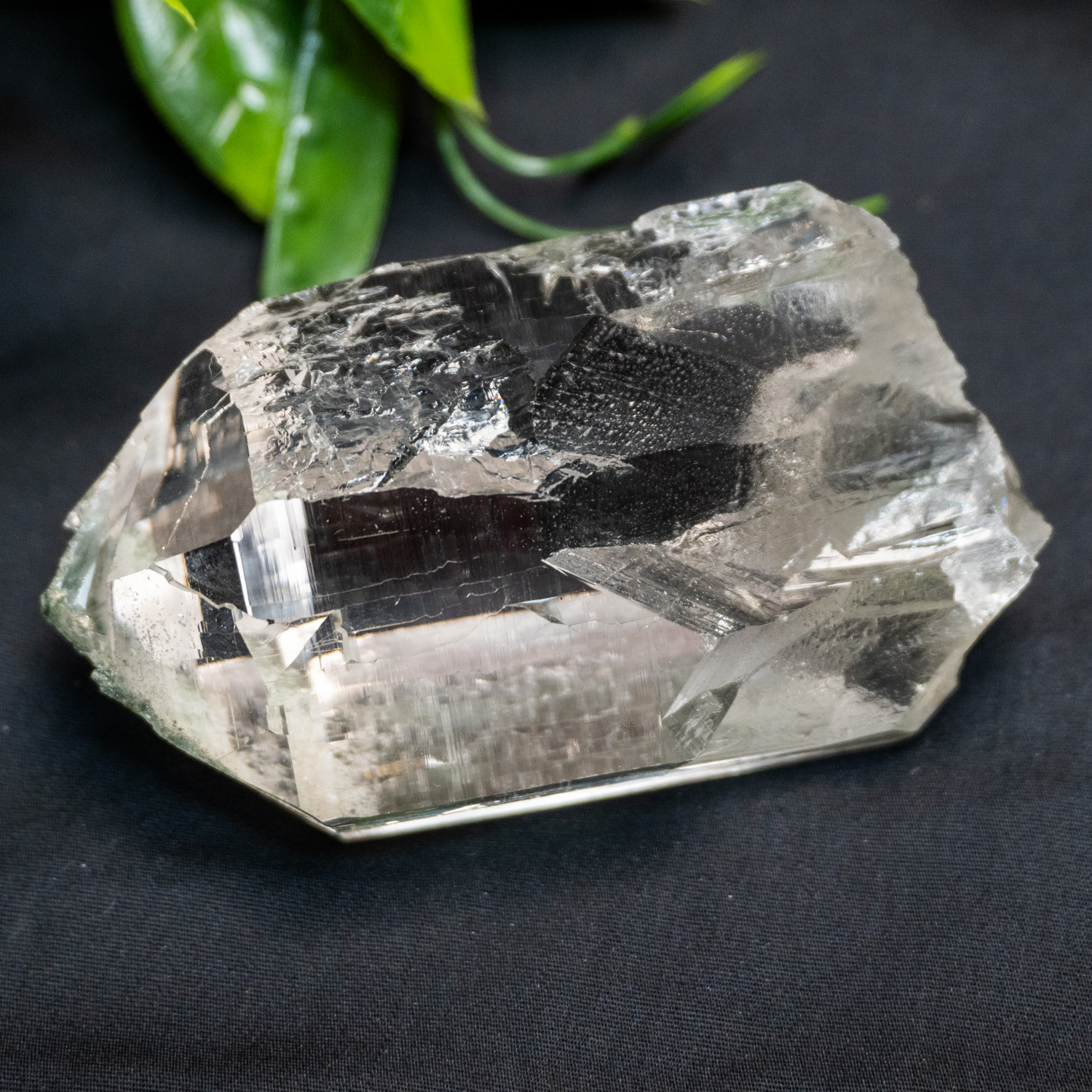 Himalayan Quartz Large #5 - The Crystal Council