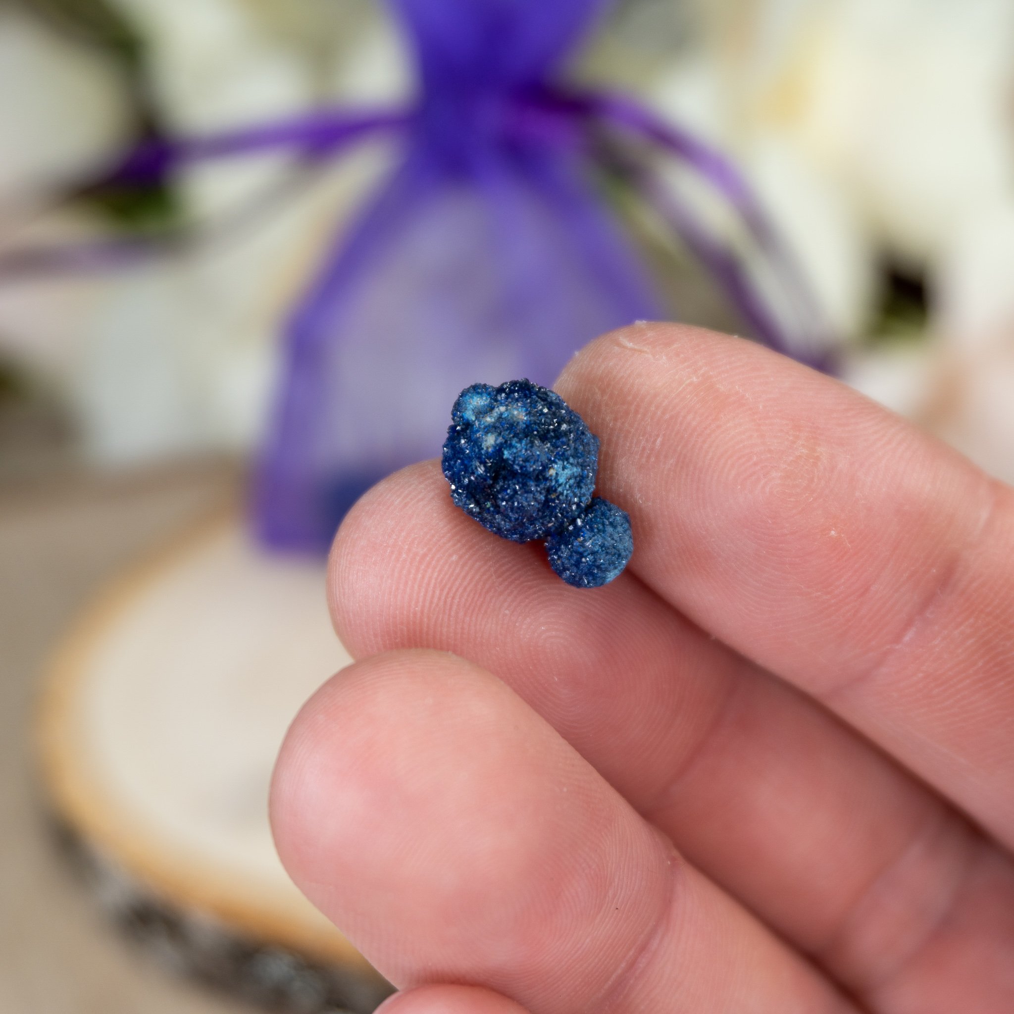 Small Druzy Azurite Blueberries - The Crystal Council