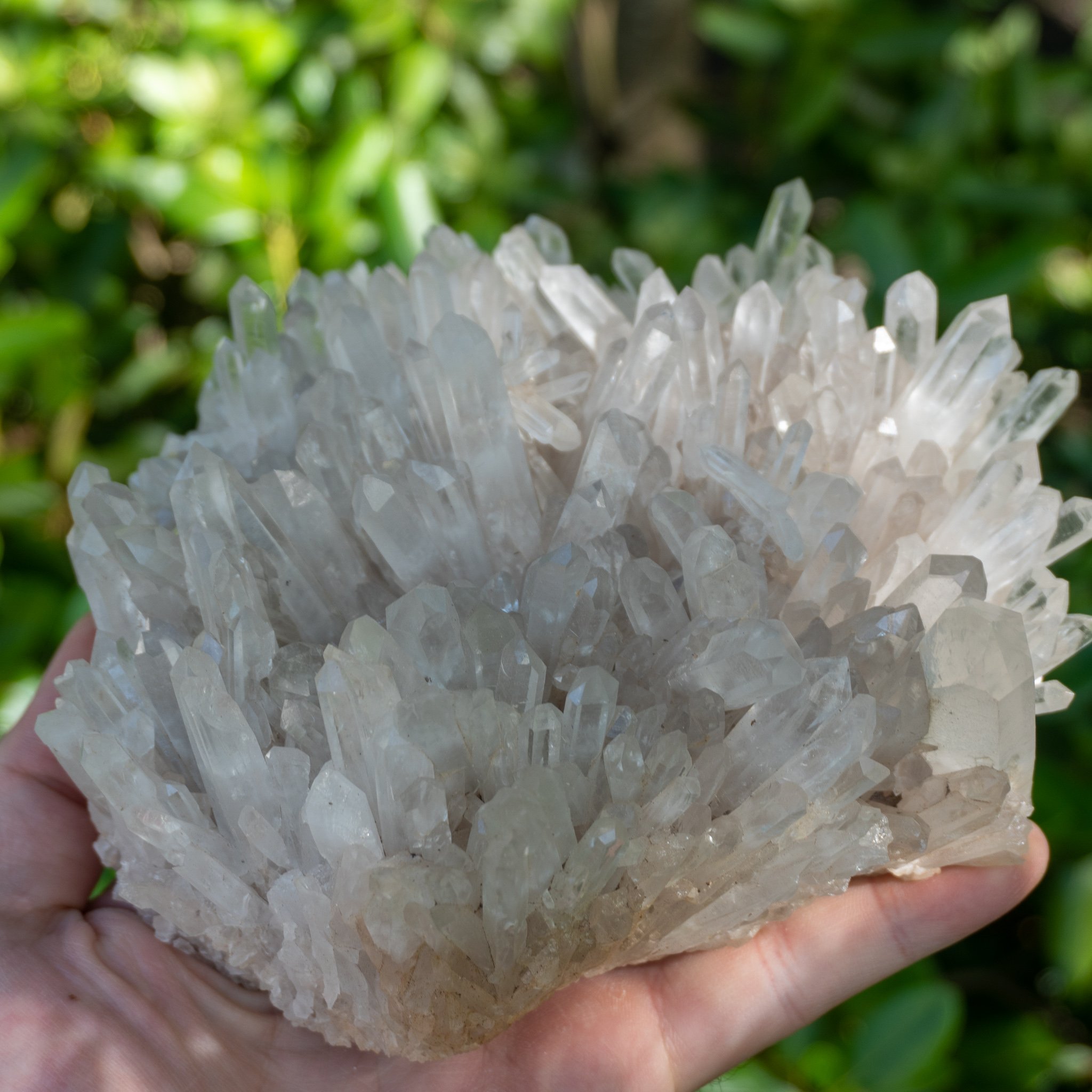 Madagascar Quartz Family #1 - The Crystal Council