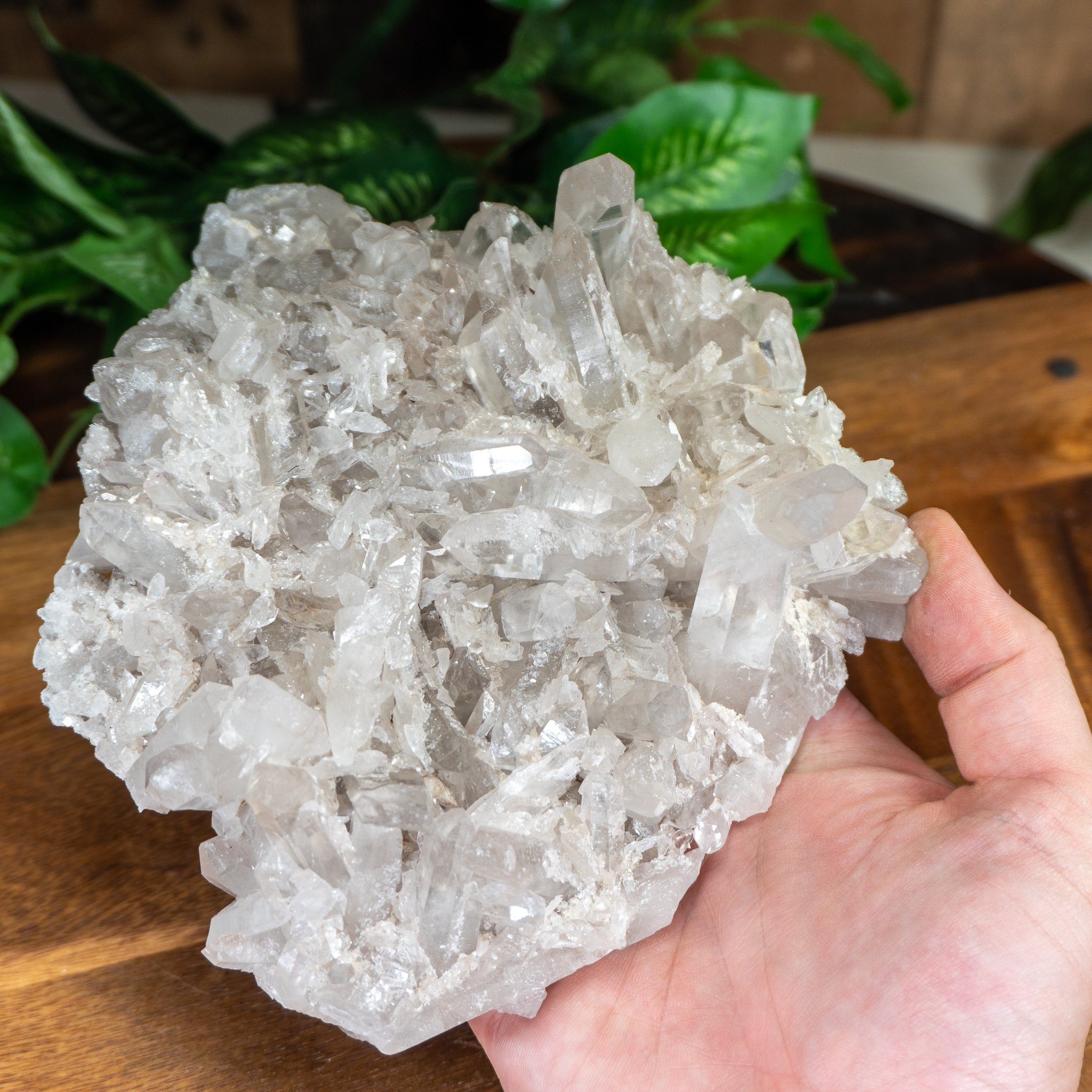 Madagascar Quartz Family #3 - The Crystal Council