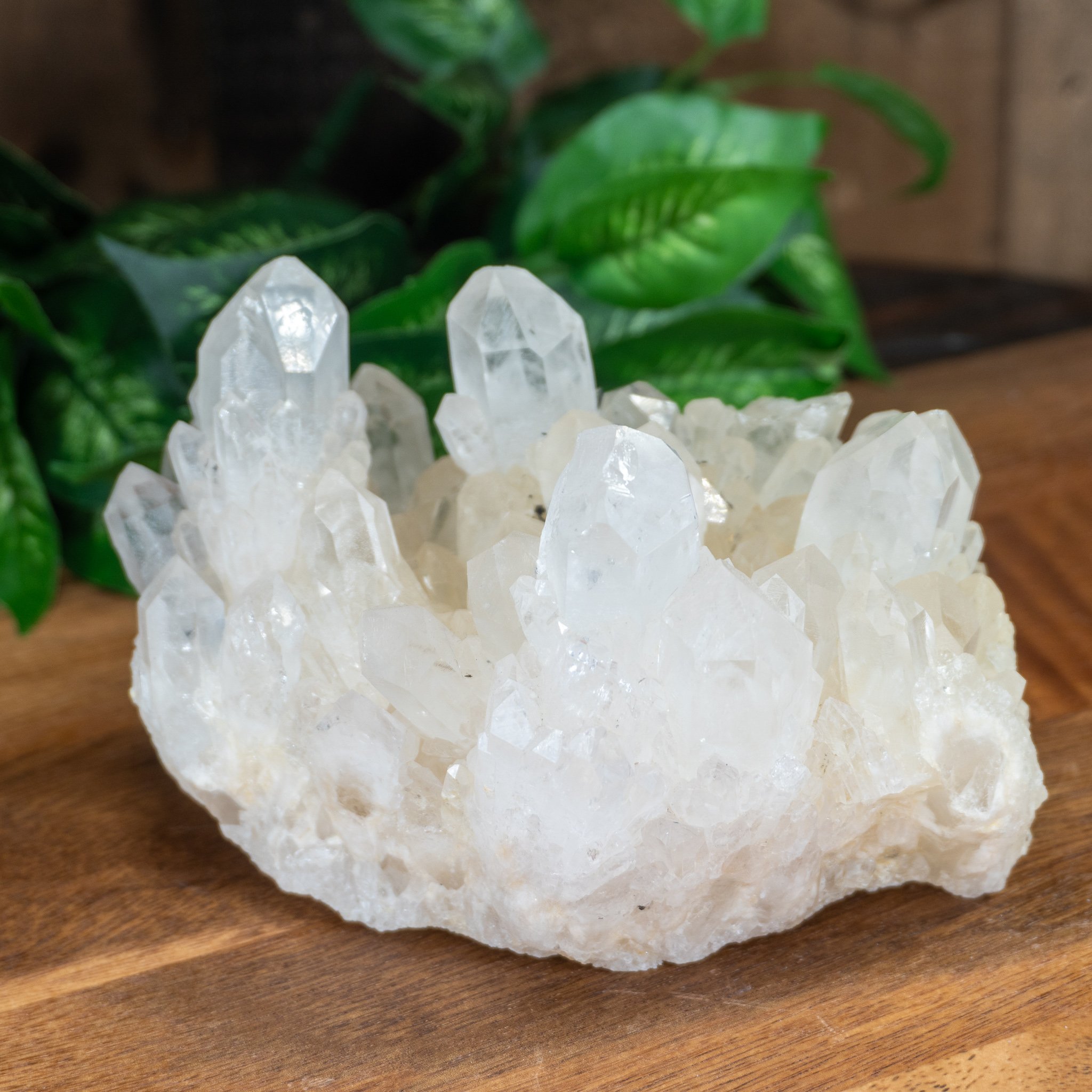 Madagascar Yellow Quartz Family #4 - The Crystal Council