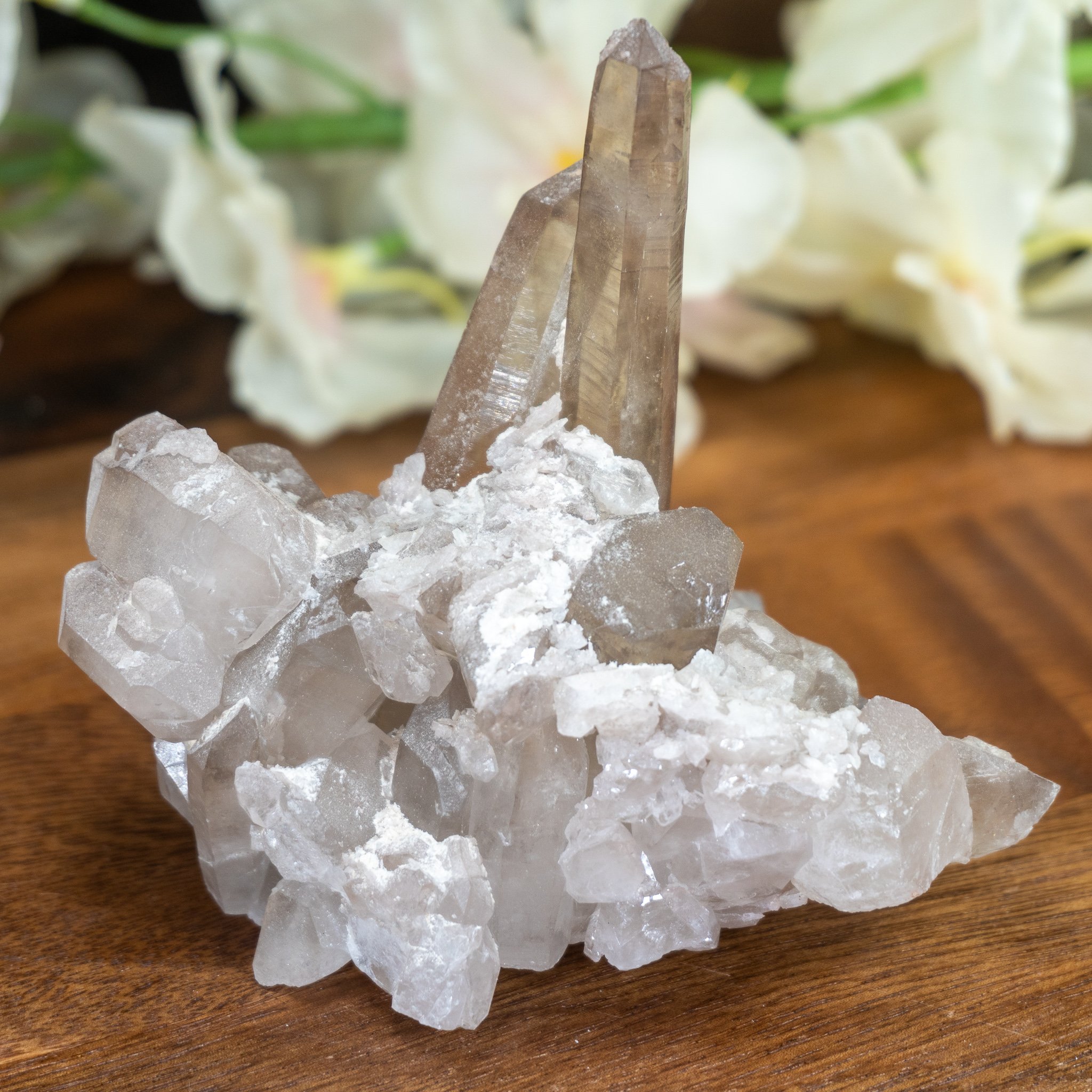 Madagascar Smoky Quartz Family #5 - The Crystal Council