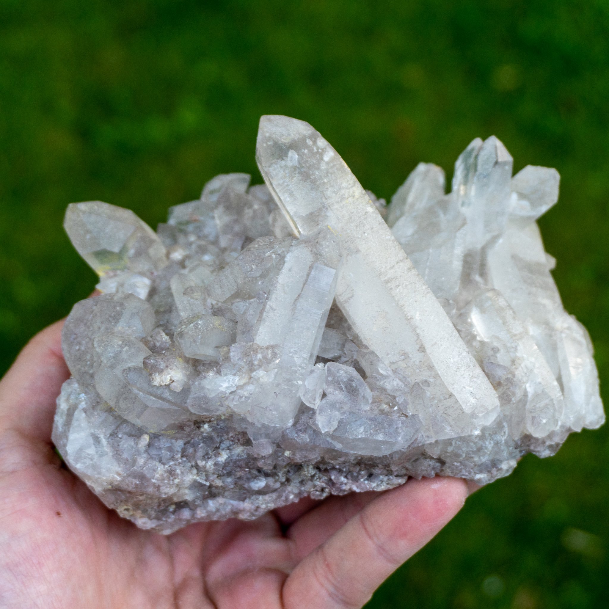 Madagascar Quartz Family #7 - The Crystal Council