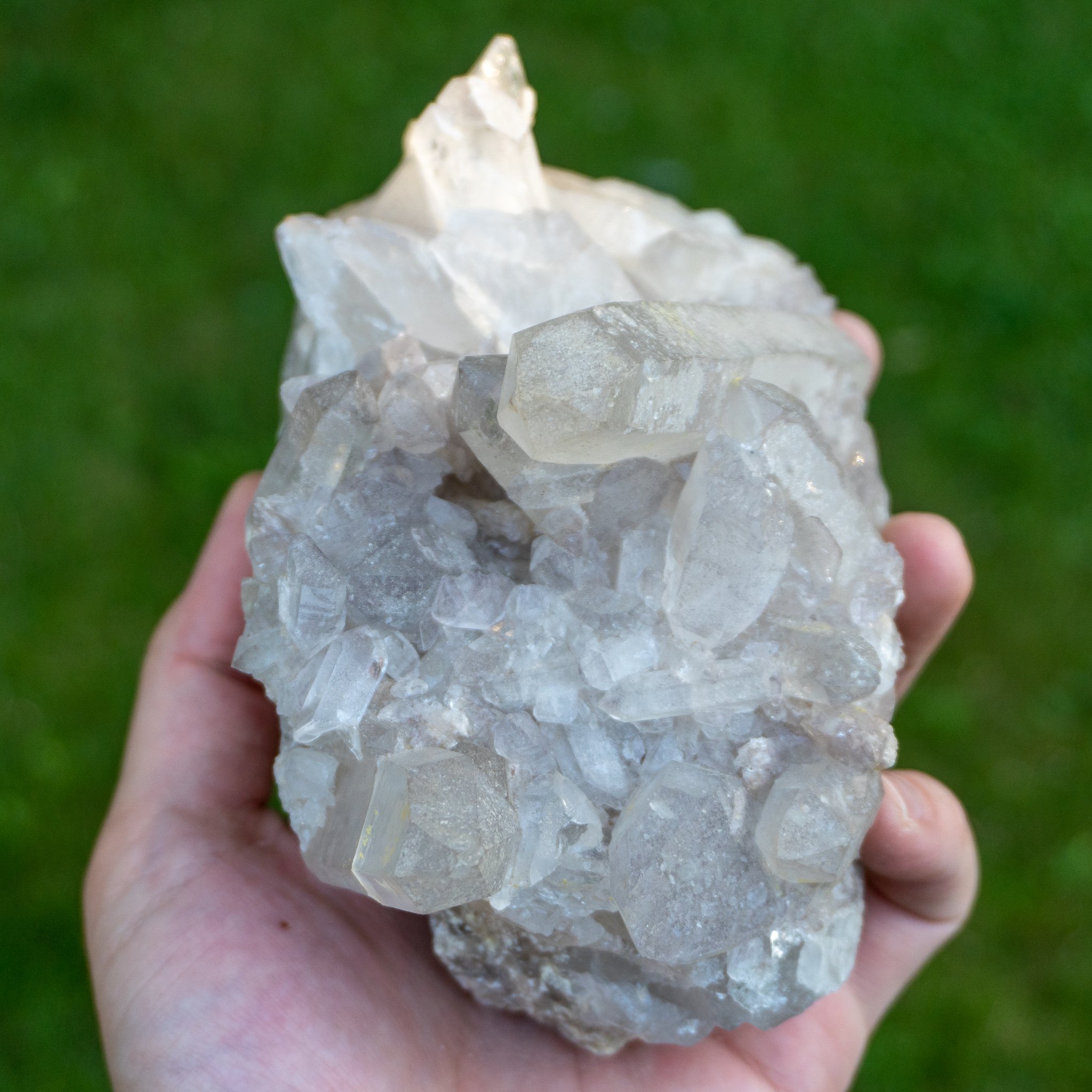 Madagascar Quartz Family #7 - The Crystal Council