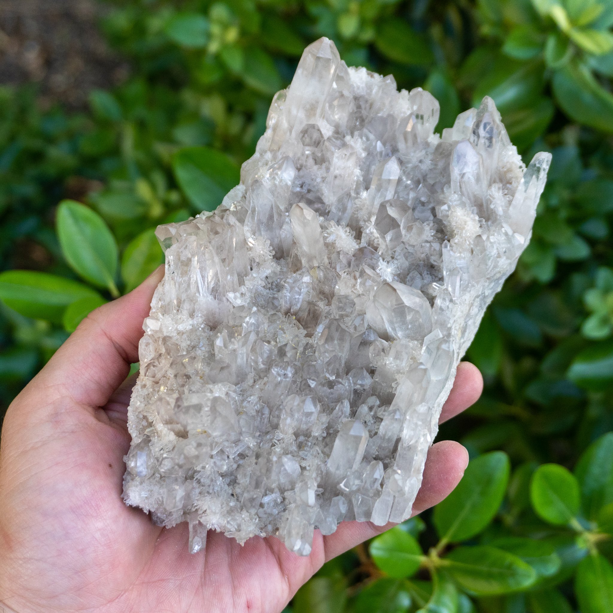 Madagascar Quartz Family #9 - The Crystal Council