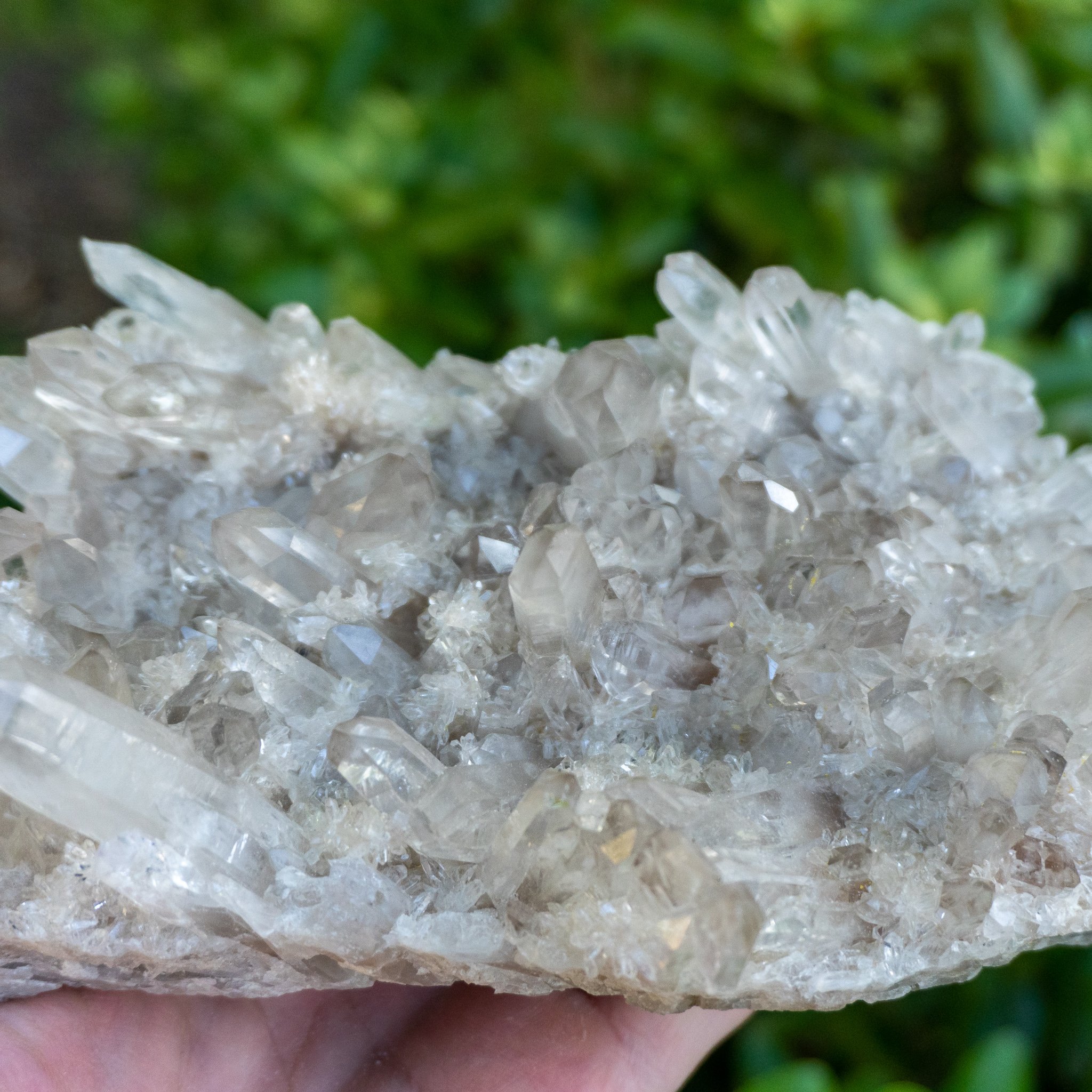 Madagascar Quartz Family #9 - The Crystal Council