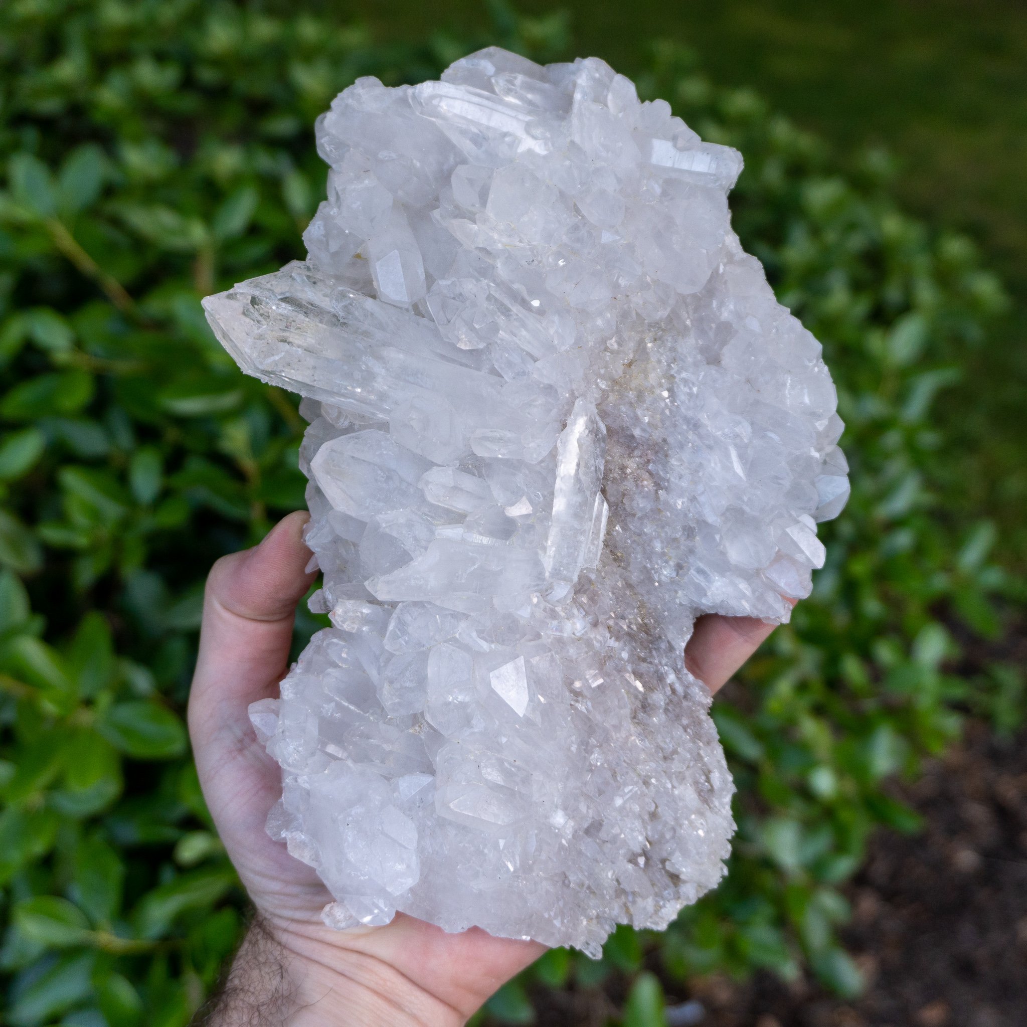 Madagascar Quartz Family #10 - The Crystal Council