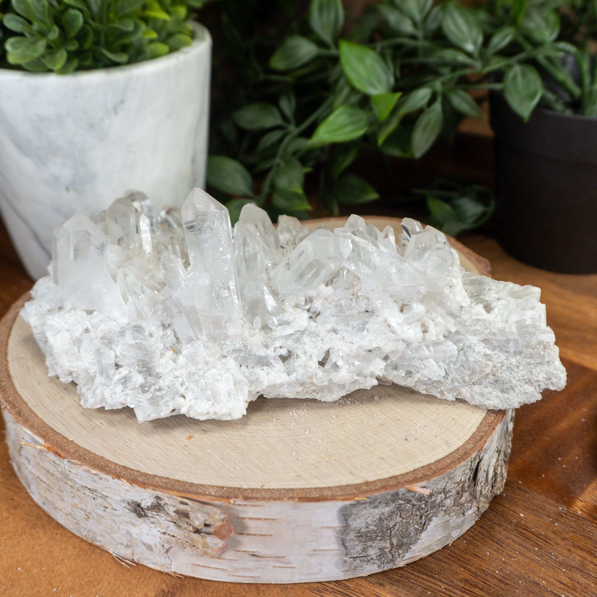 Madagascar Quartz Family #11 - The Crystal Council