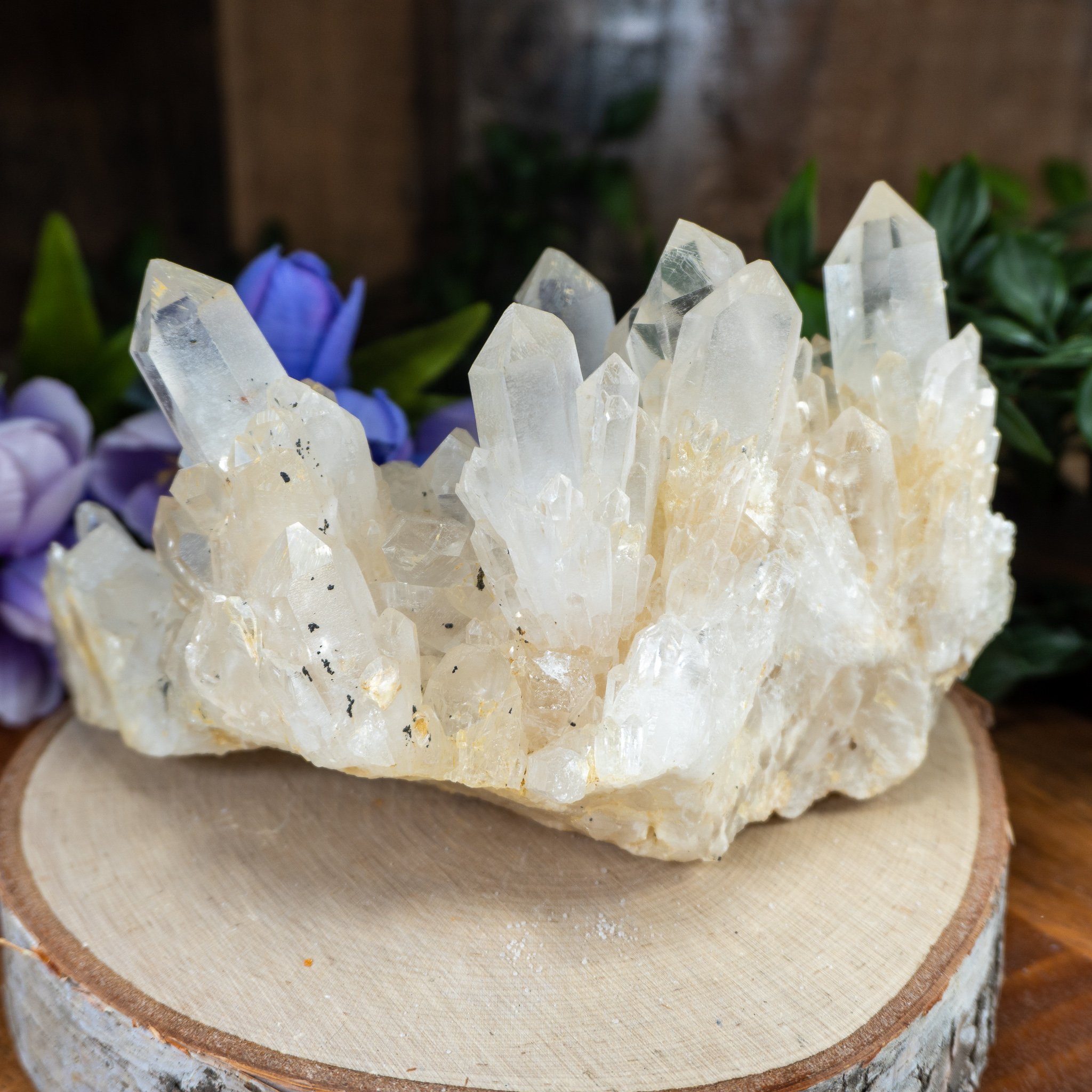 Madagascar Yellow Quartz Family #13 - The Crystal Council