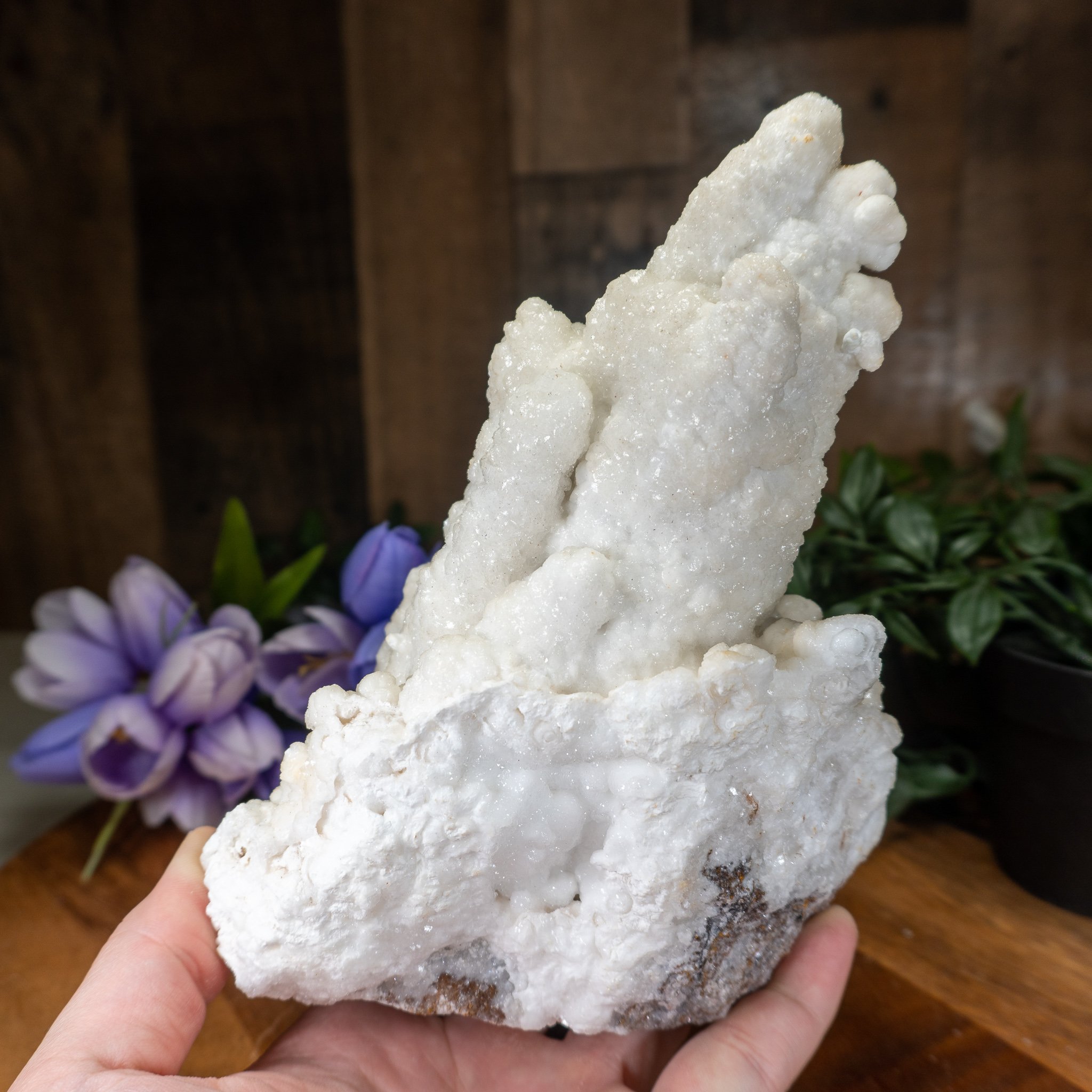 Coral "Cave" Calcite #5 - The Crystal Council