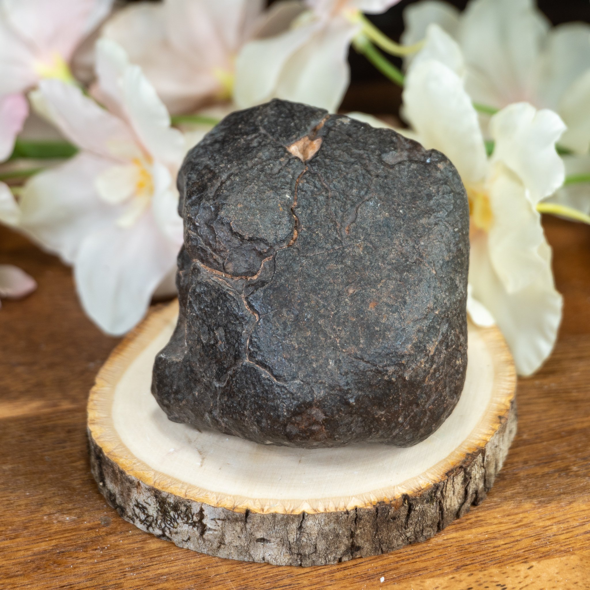 Large NWA Meteorite #1 - The Crystal Council