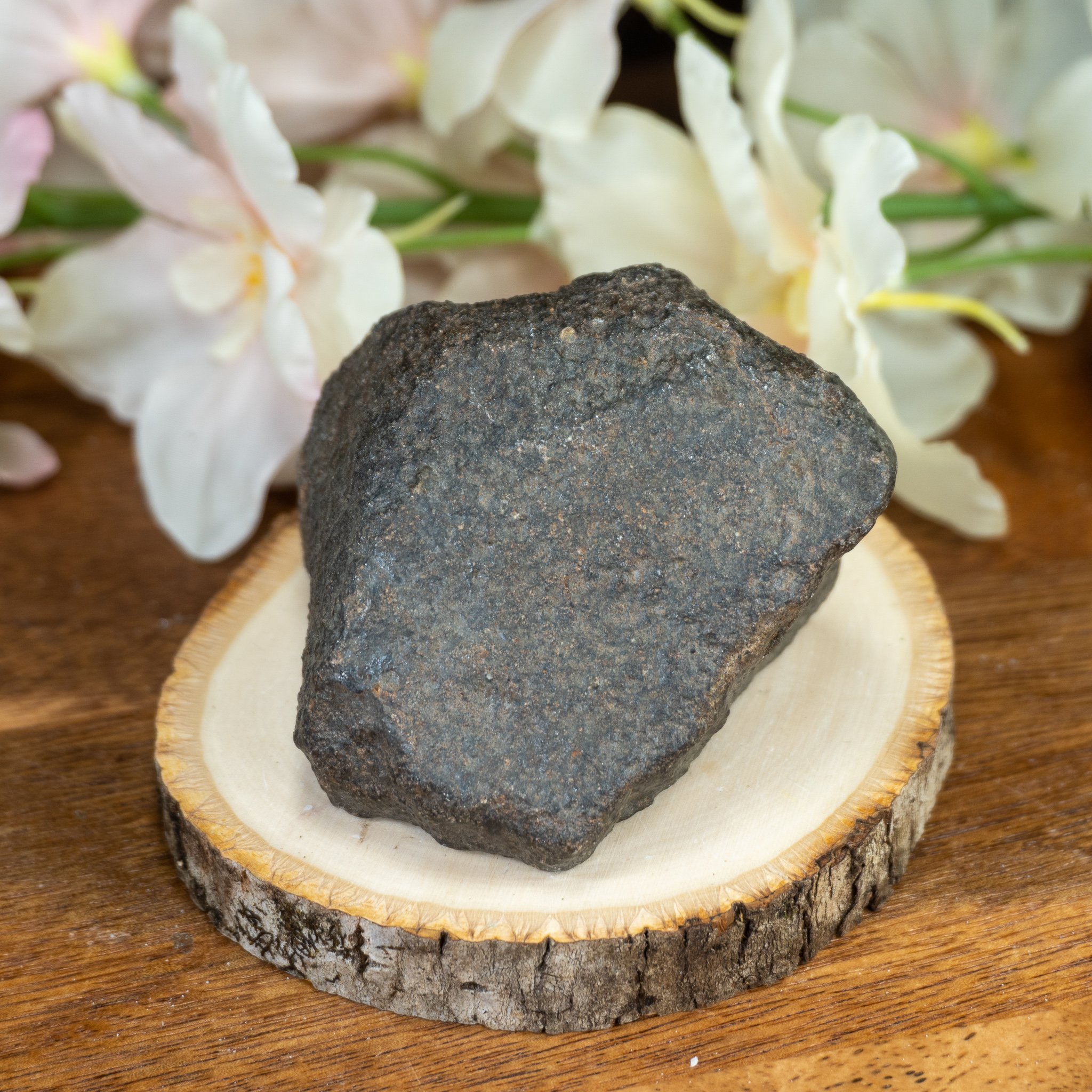 Large NWA Meteorite #2 - The Crystal Council