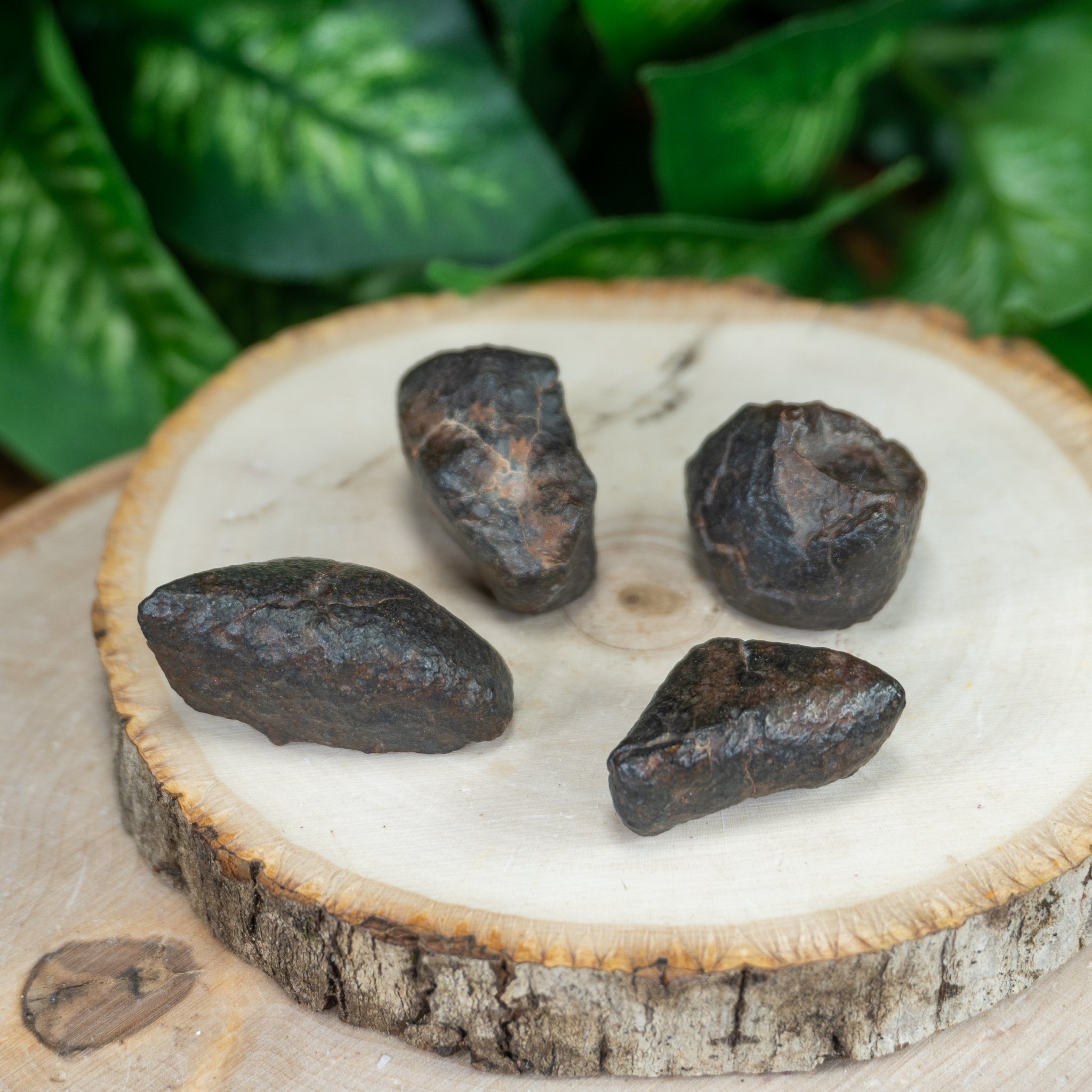 NWA Raw Nuggets - The Crystal Council