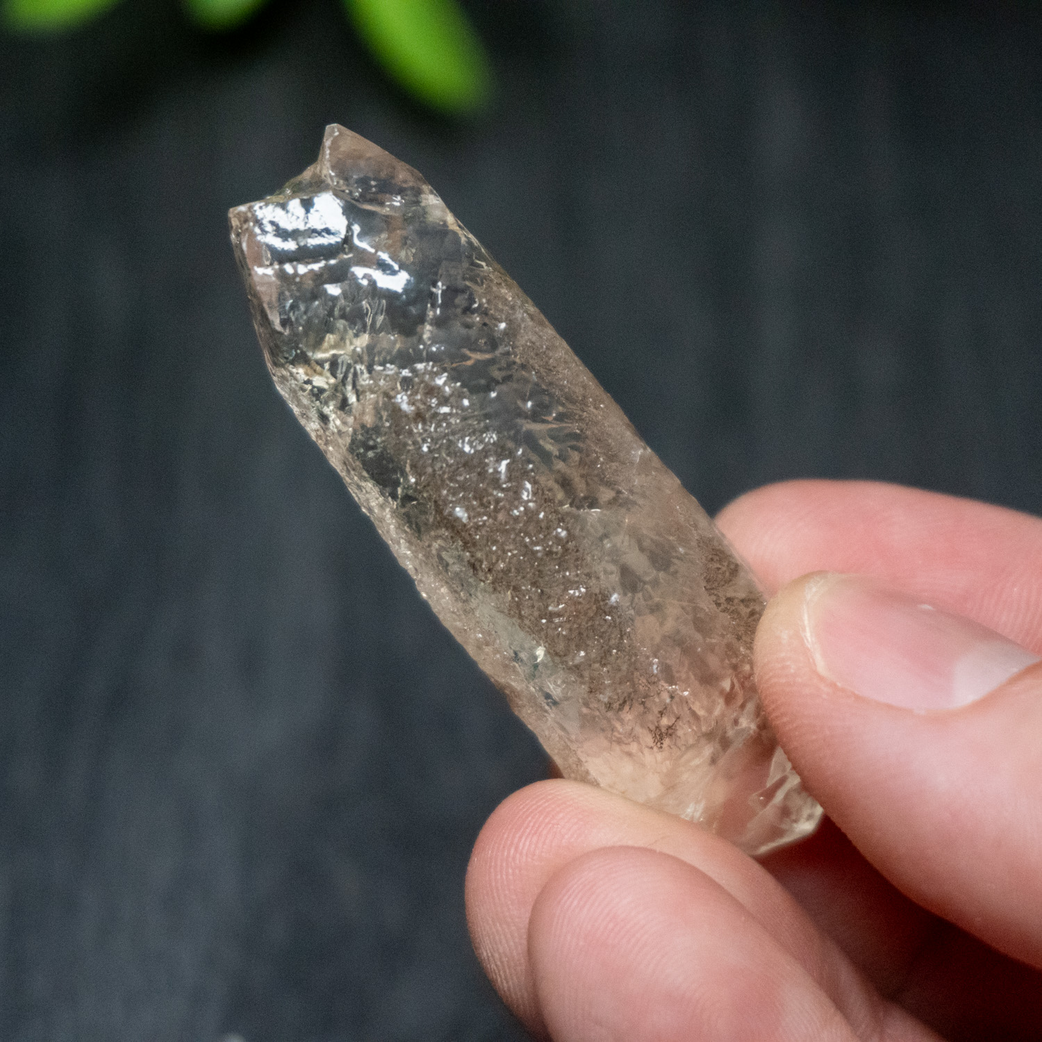 Golden Calcite (UV Reactive) #8 - The Crystal Council