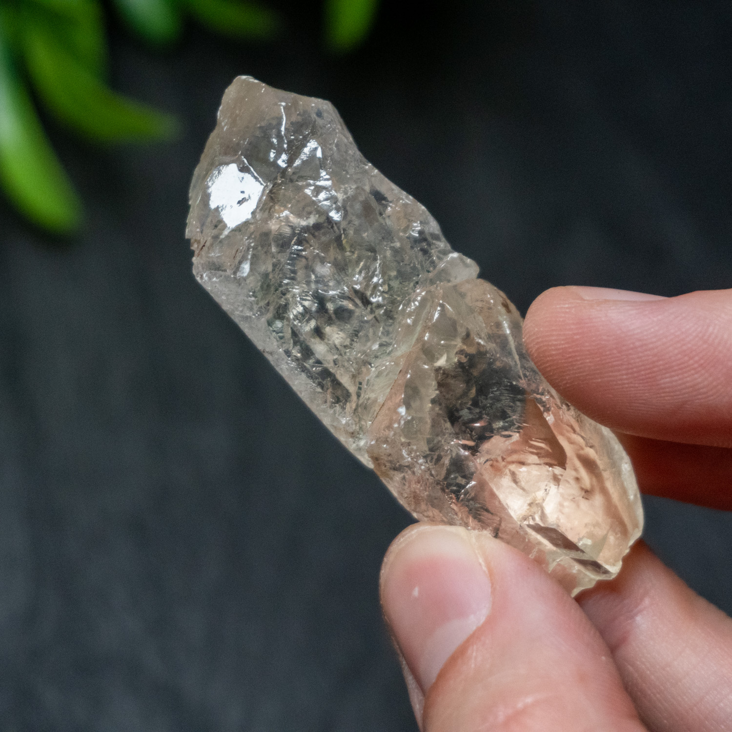 Golden Calcite (UV Reactive) #4 - The Crystal Council