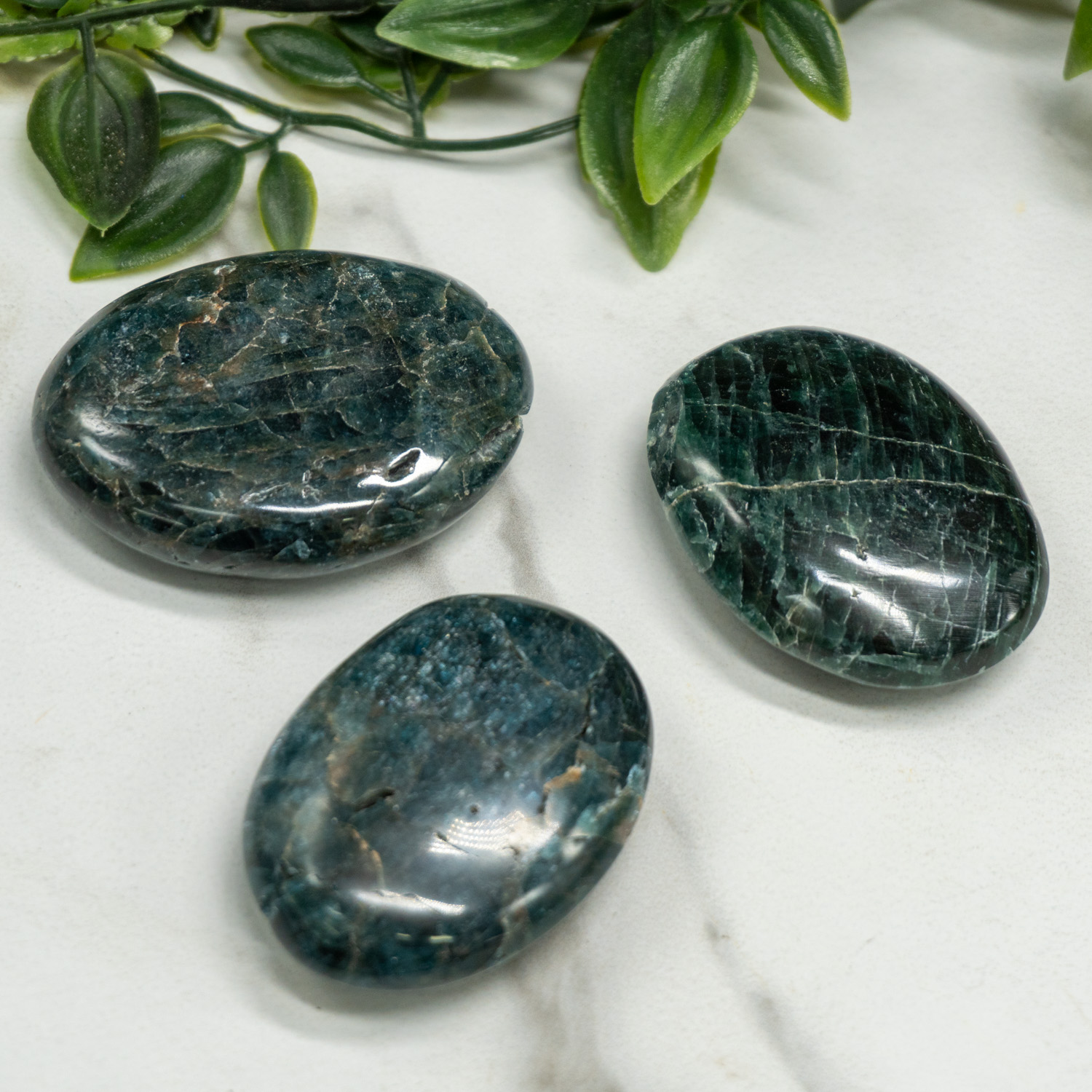 Small Green Apatite Palmstone - The Crystal Council