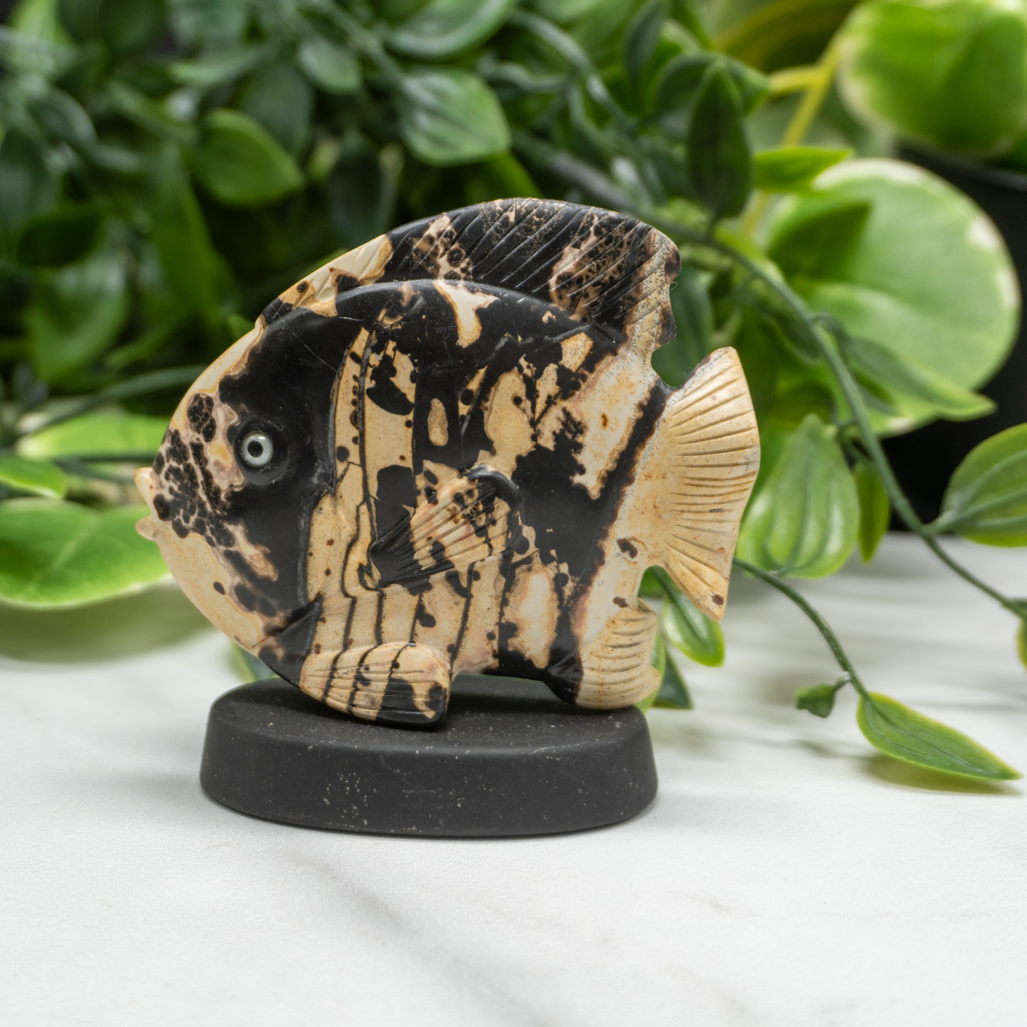 Picture Jasper Fish on Swivel Base Random - The Crystal Council