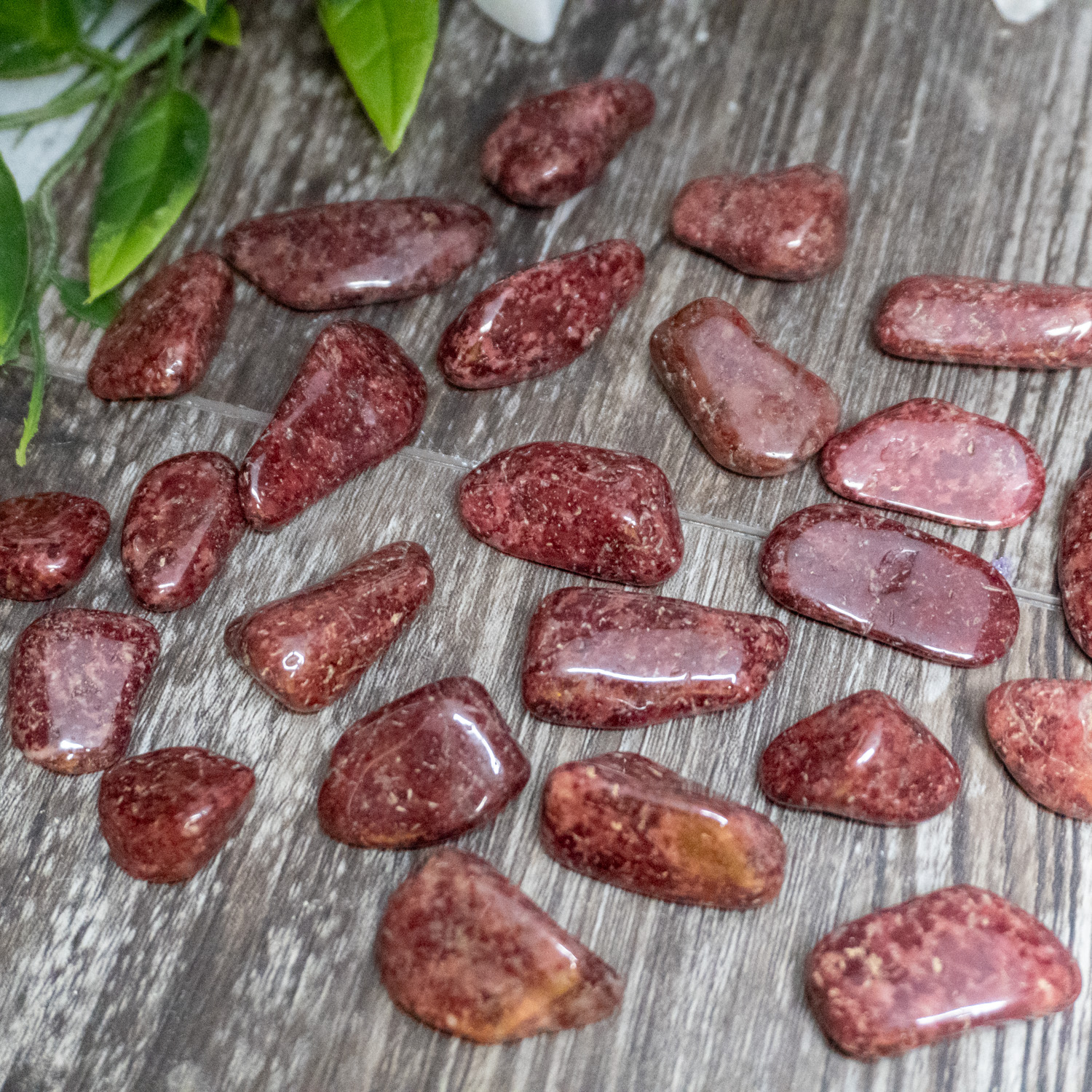 Red Wine Quartz Tumbled - The Crystal Council