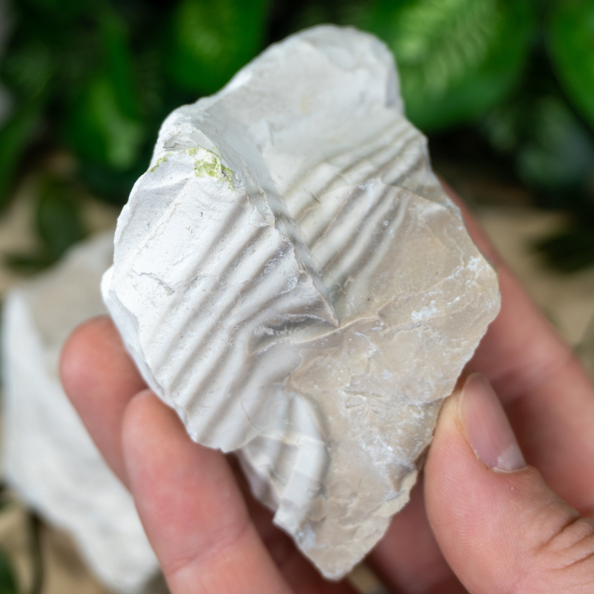 Small Raw Flint - Random - The Crystal Council