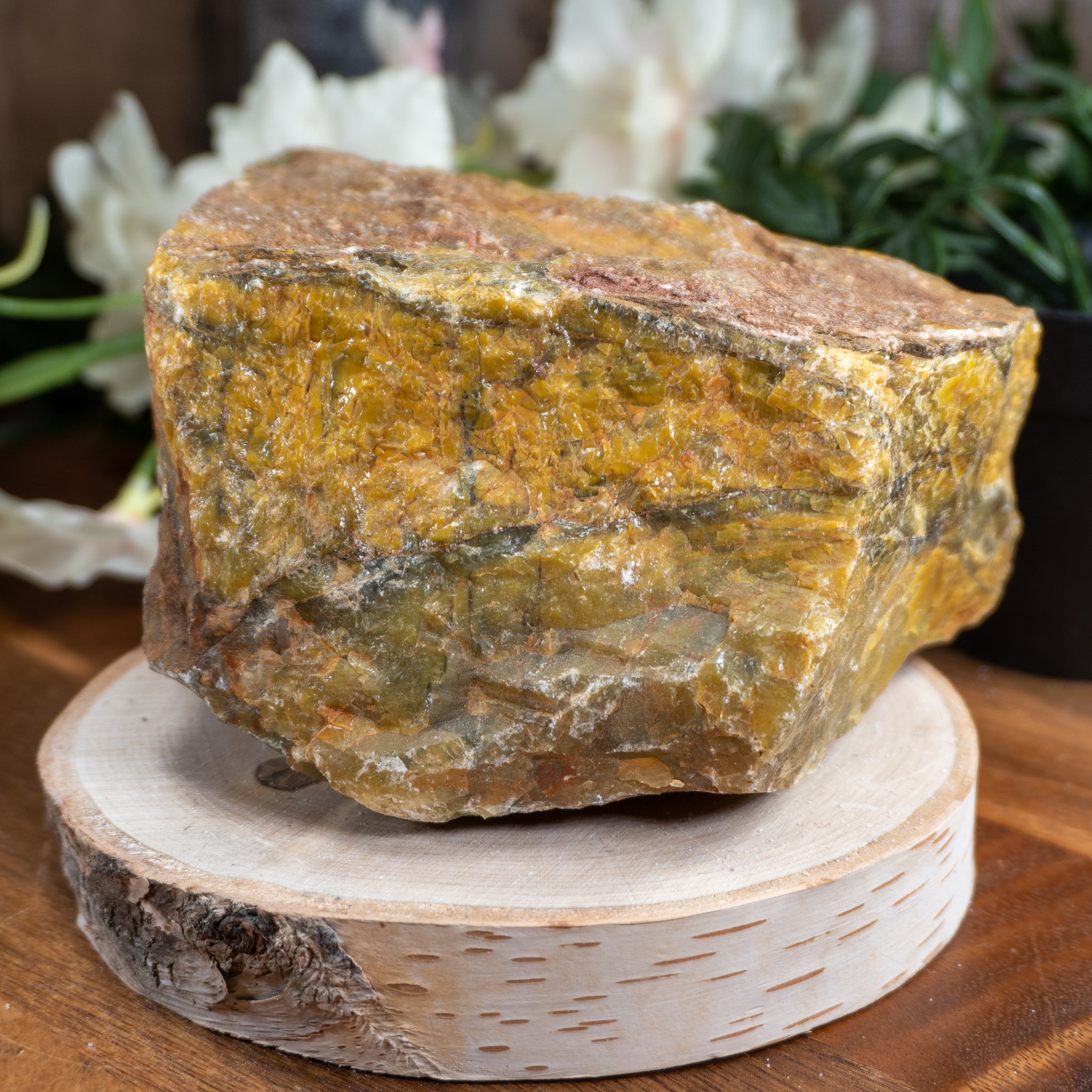 Large Raw Nellite (Lionskin) #1 - The Crystal Council