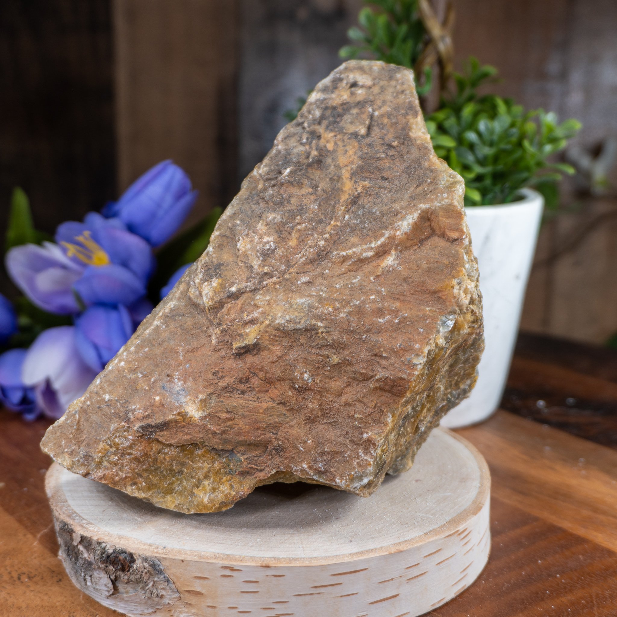 Large Raw Nellite (Lionskin) #2 - The Crystal Council