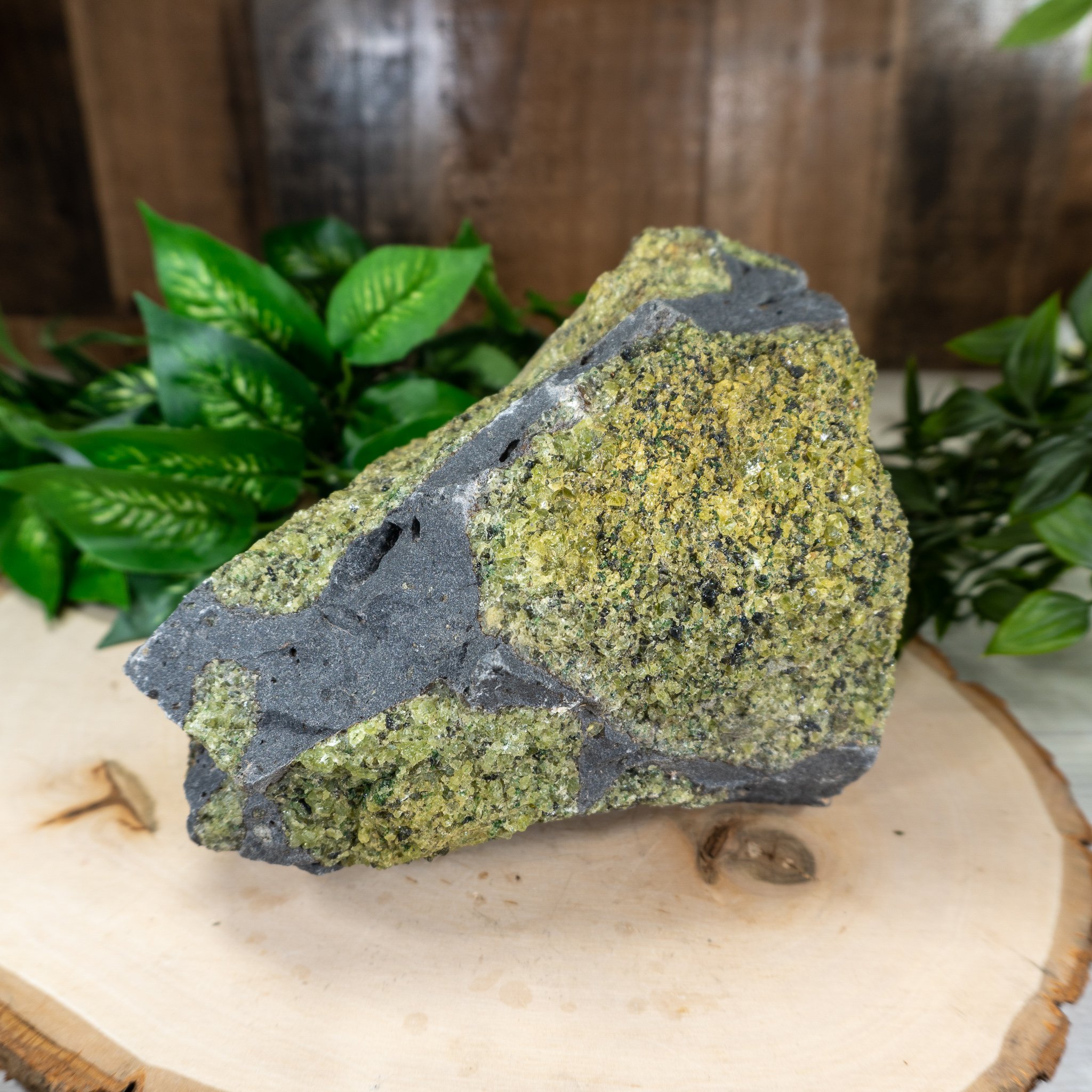 Large Raw Peridot in Bassalt #1 - The Crystal Council