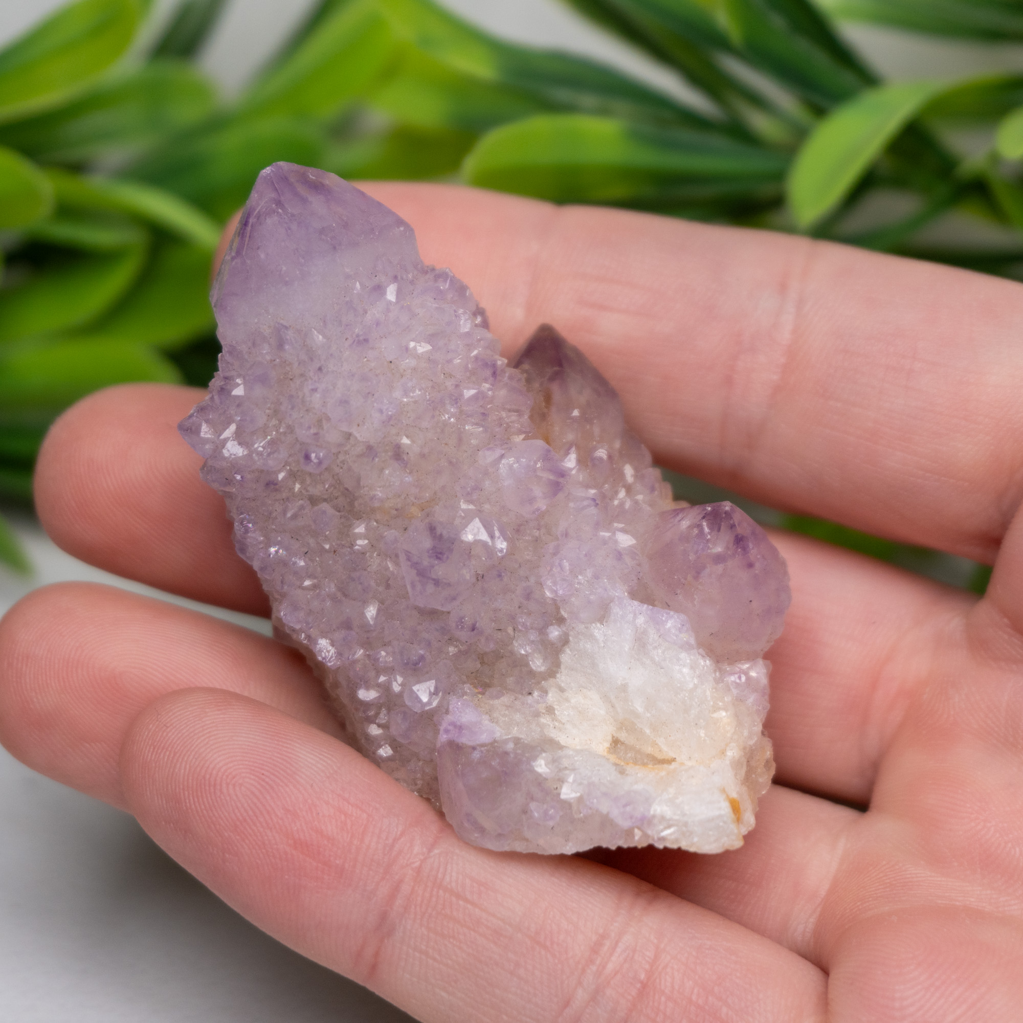 Spirit Quartz #5 - The Crystal Council