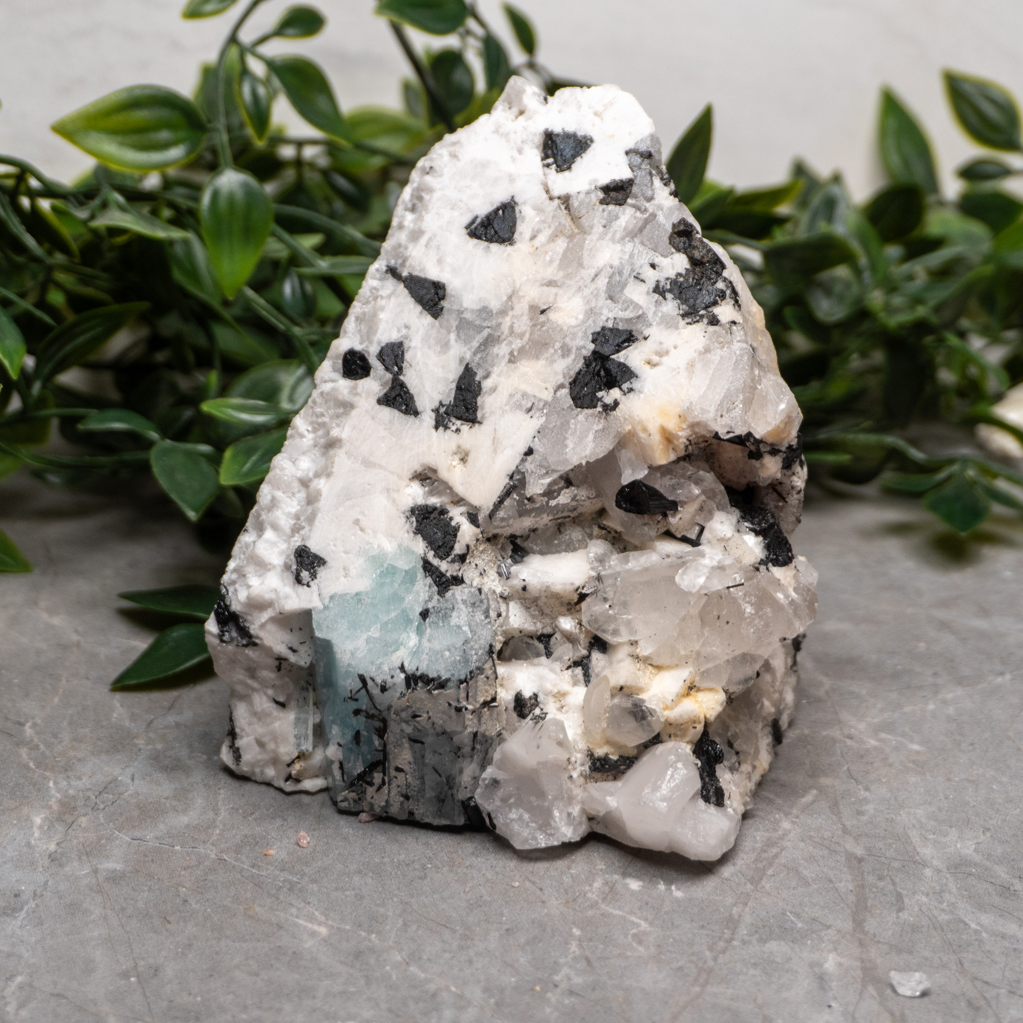 Black Tourmaline in Quartz with Clevelandite and Aquamarine #3 - The ...