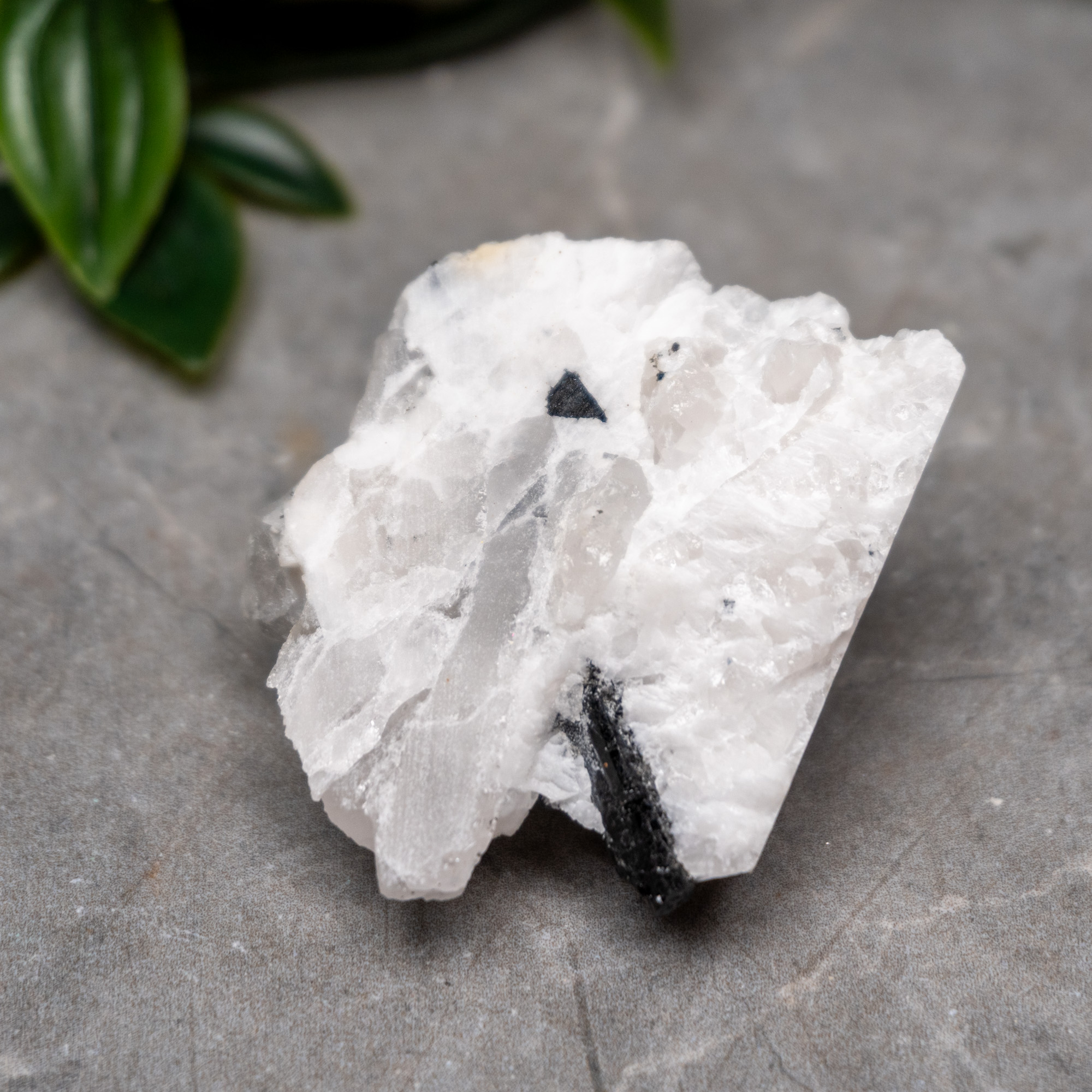 Black Tourmaline in Quartz with Clevelandite #2 - The Crystal Council