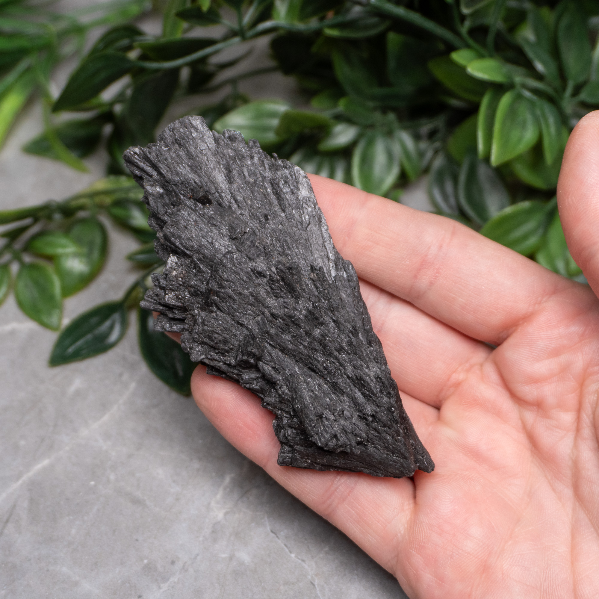 Black Kyanite Raw #1 - The Crystal Council