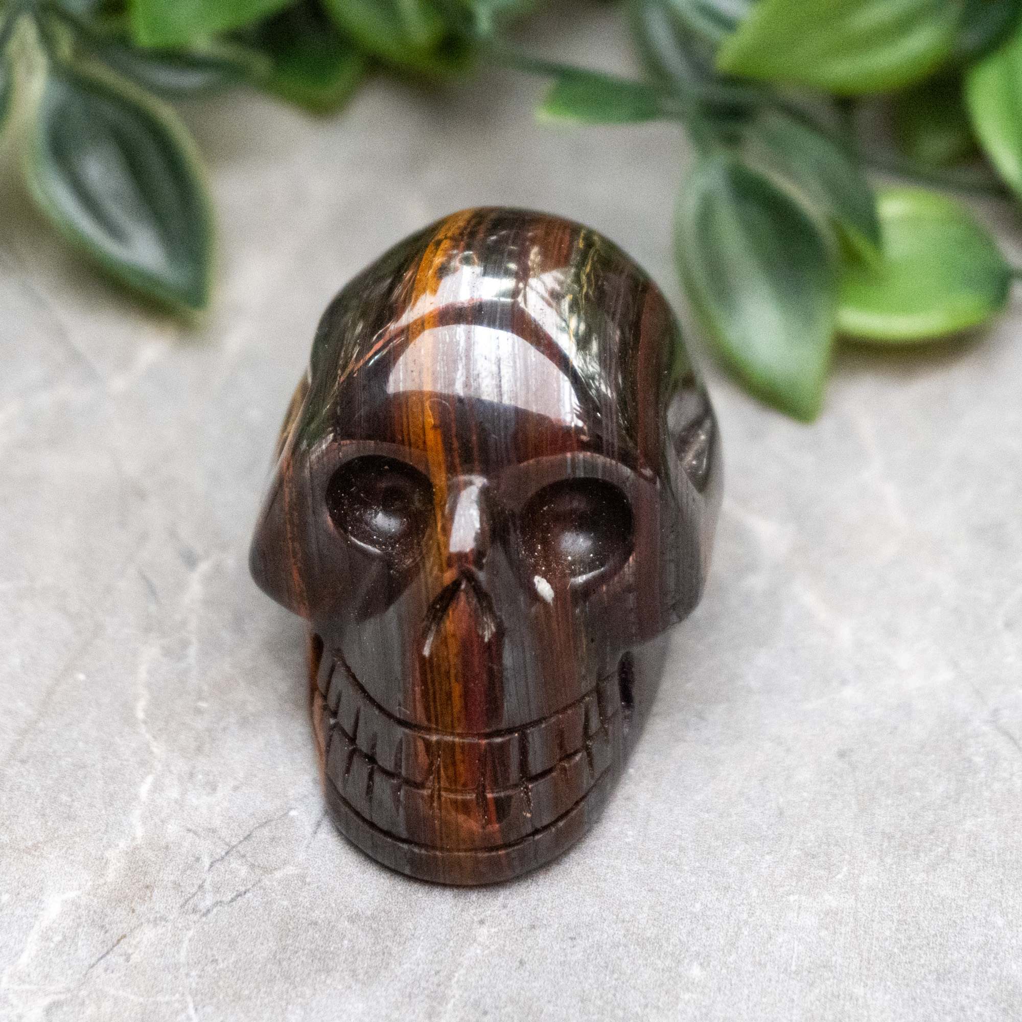 Tiger Iron Skull - The Crystal Council