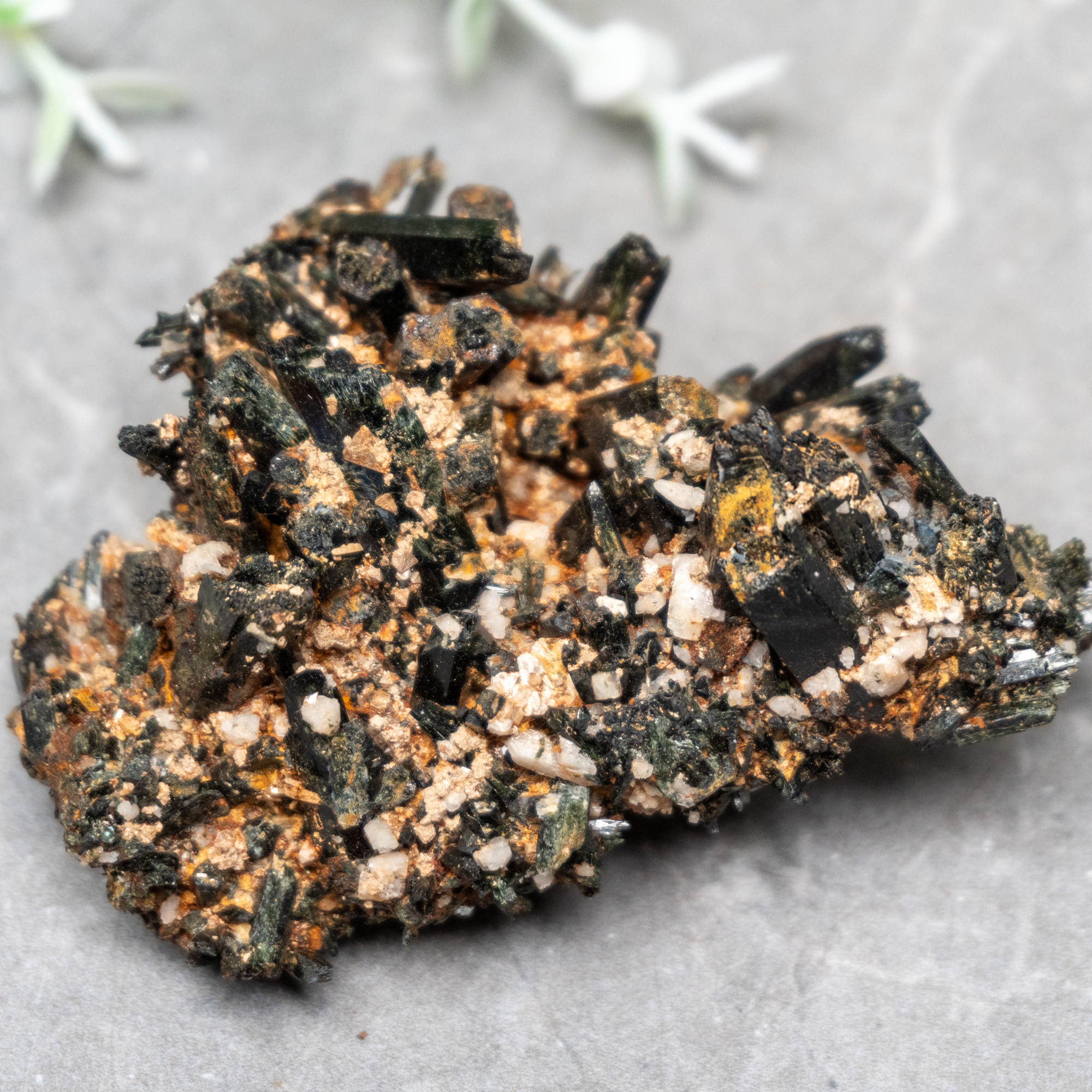 Aegirine #2 - The Crystal Council