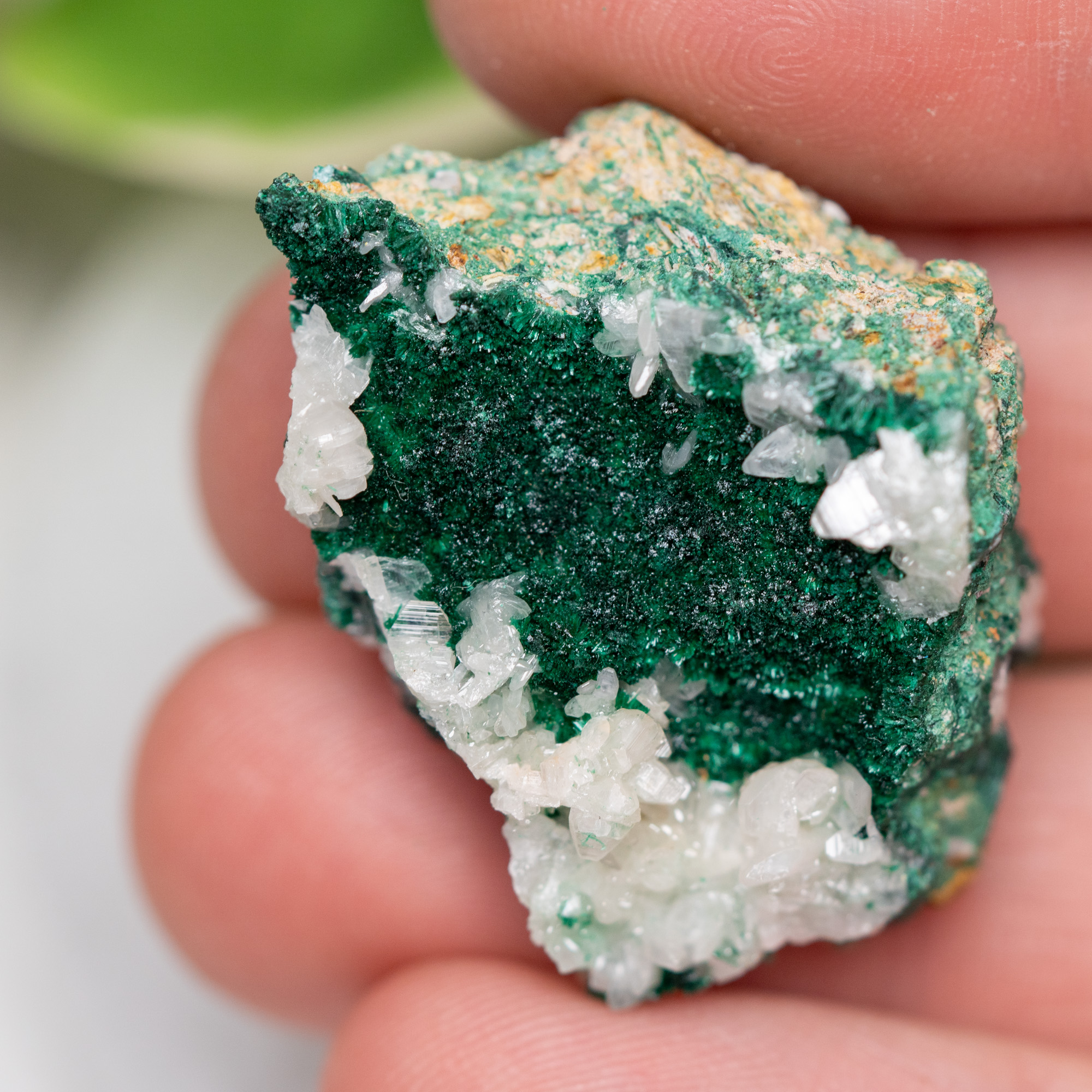 Dioptase With Barite #2 - The Crystal Council