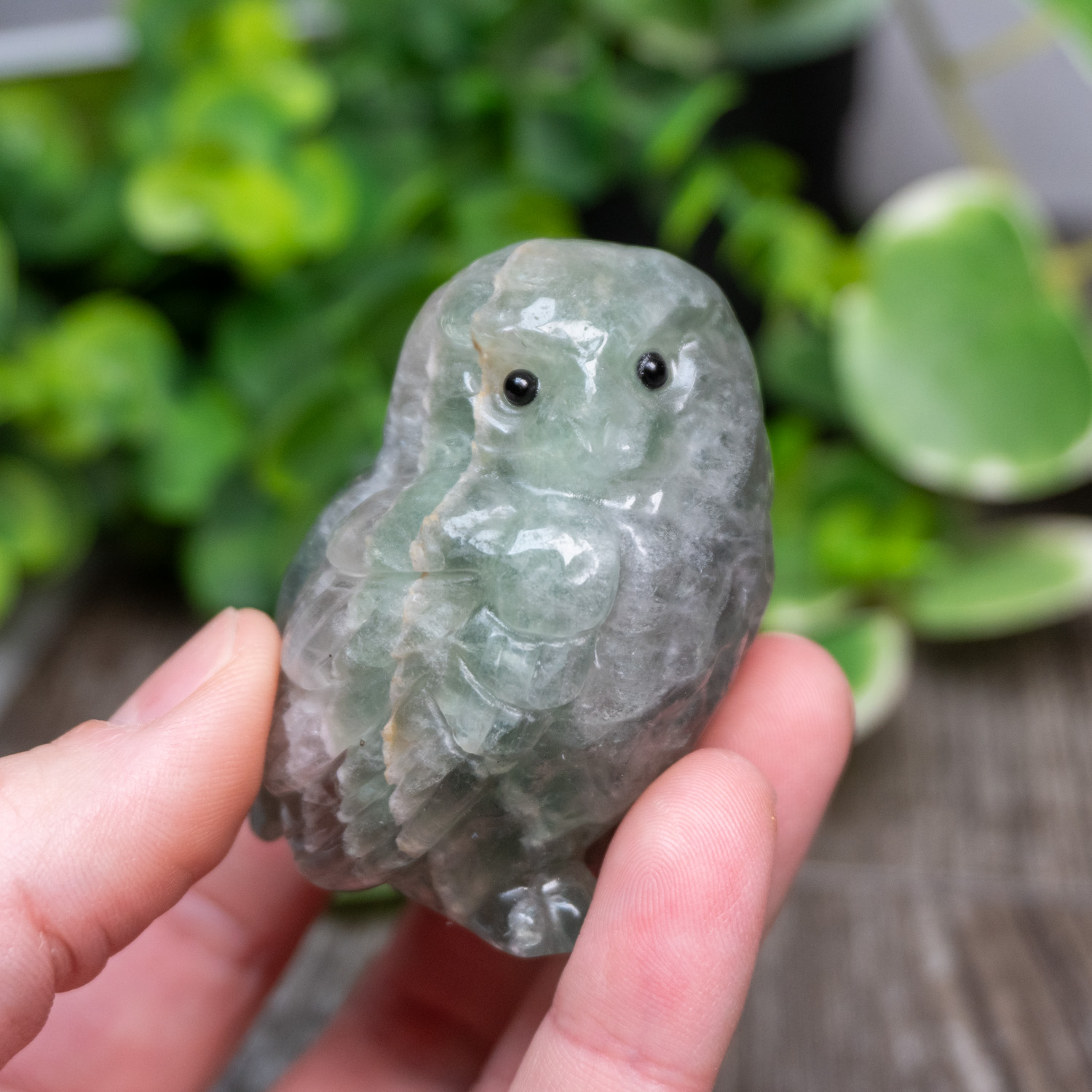 Fluorite Owl Medium - The Crystal Council