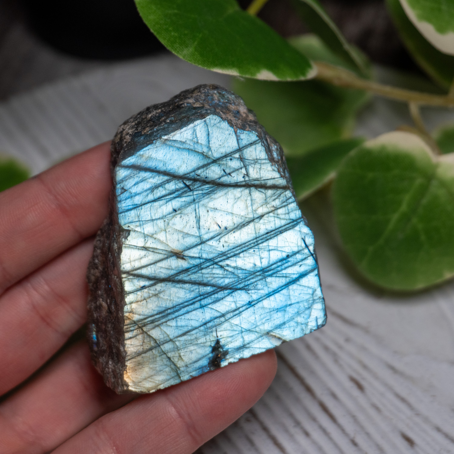 Half Polished Labradorite #1 - The Crystal Council