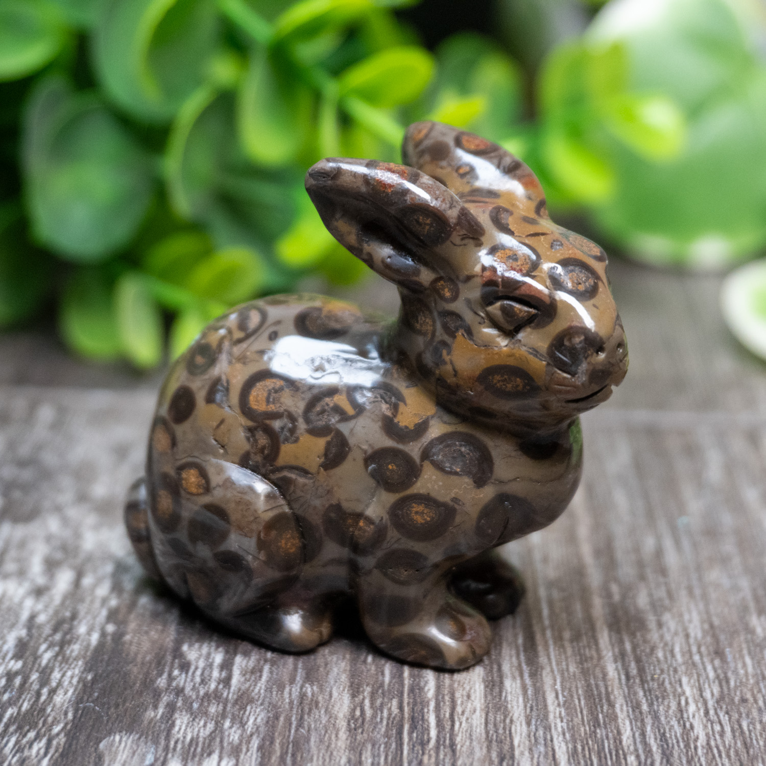 Oolong Jasper Rabbit - The Crystal Council