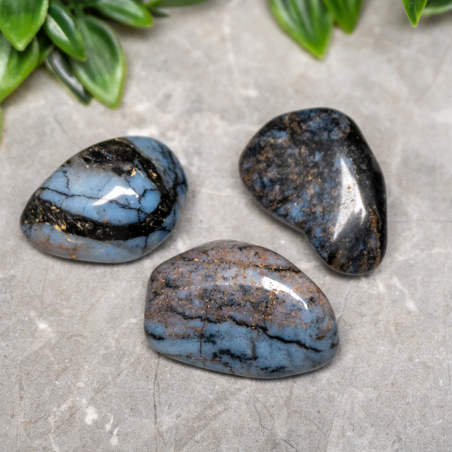 Blue Chert Tumbled - The Crystal Council