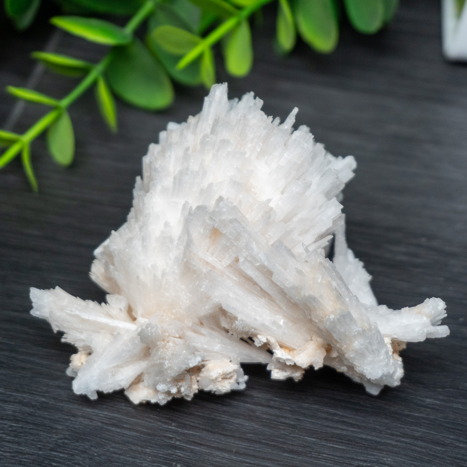 Raw Scolecite #3 - The Crystal Council