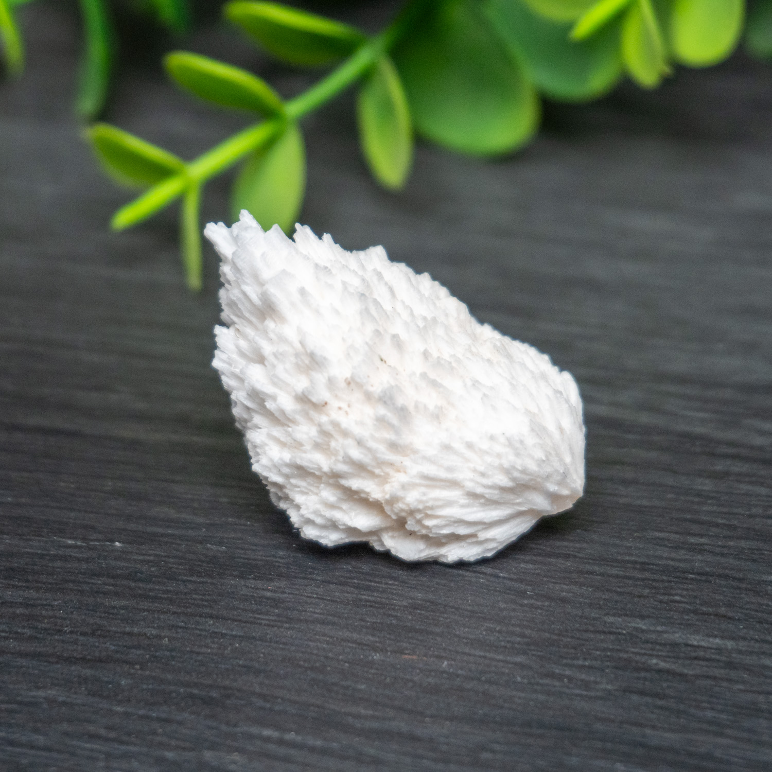 Raw Scolecite #1 - The Crystal Council