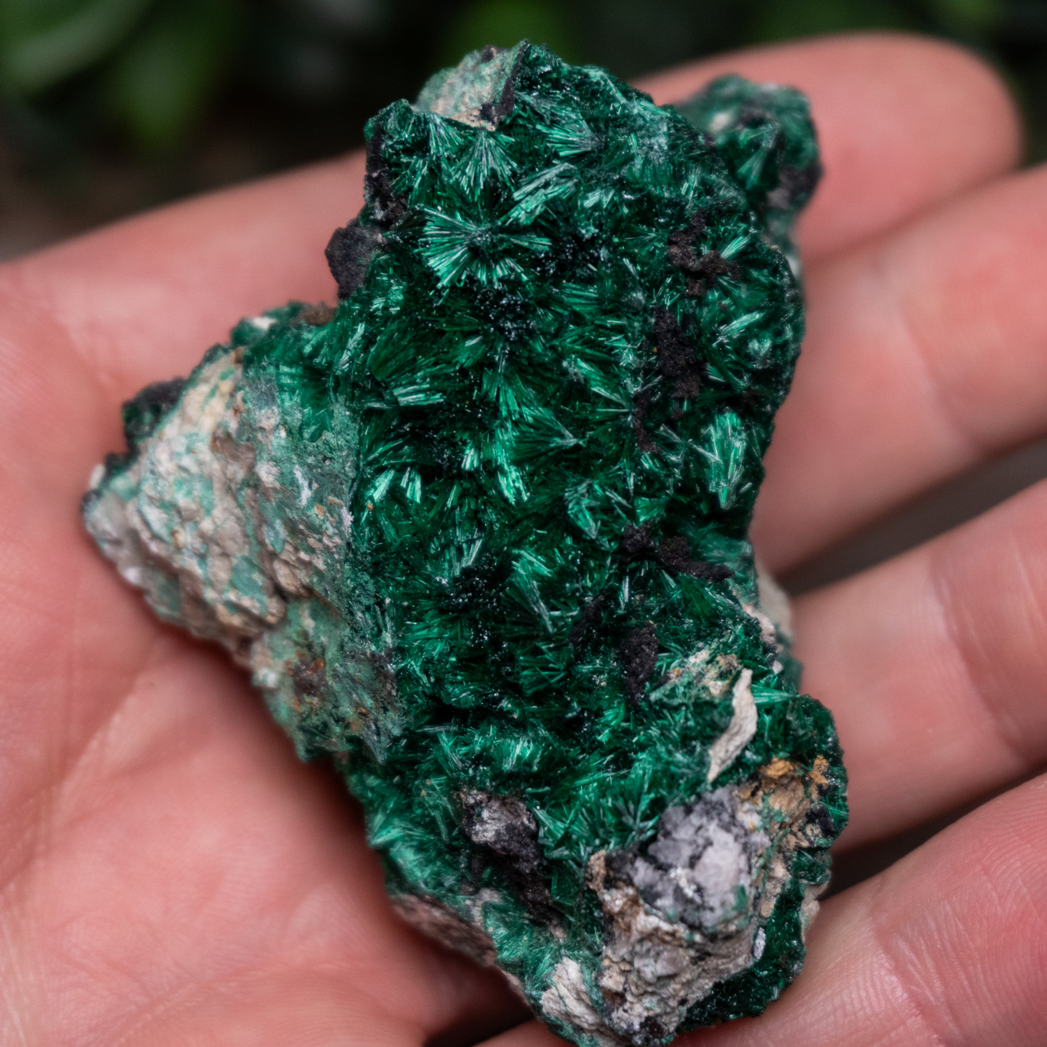 Raw Congo Malachite #6 - The Crystal Council